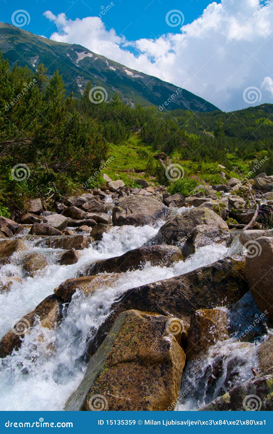 Fast River stock image. Image of mountain, scenery, pine - 15135359