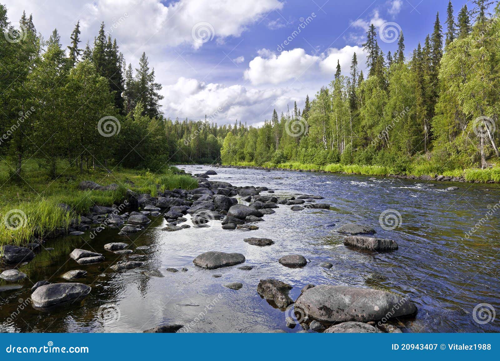 Fast river stock image. Image of natural, rural, clear - 20943407