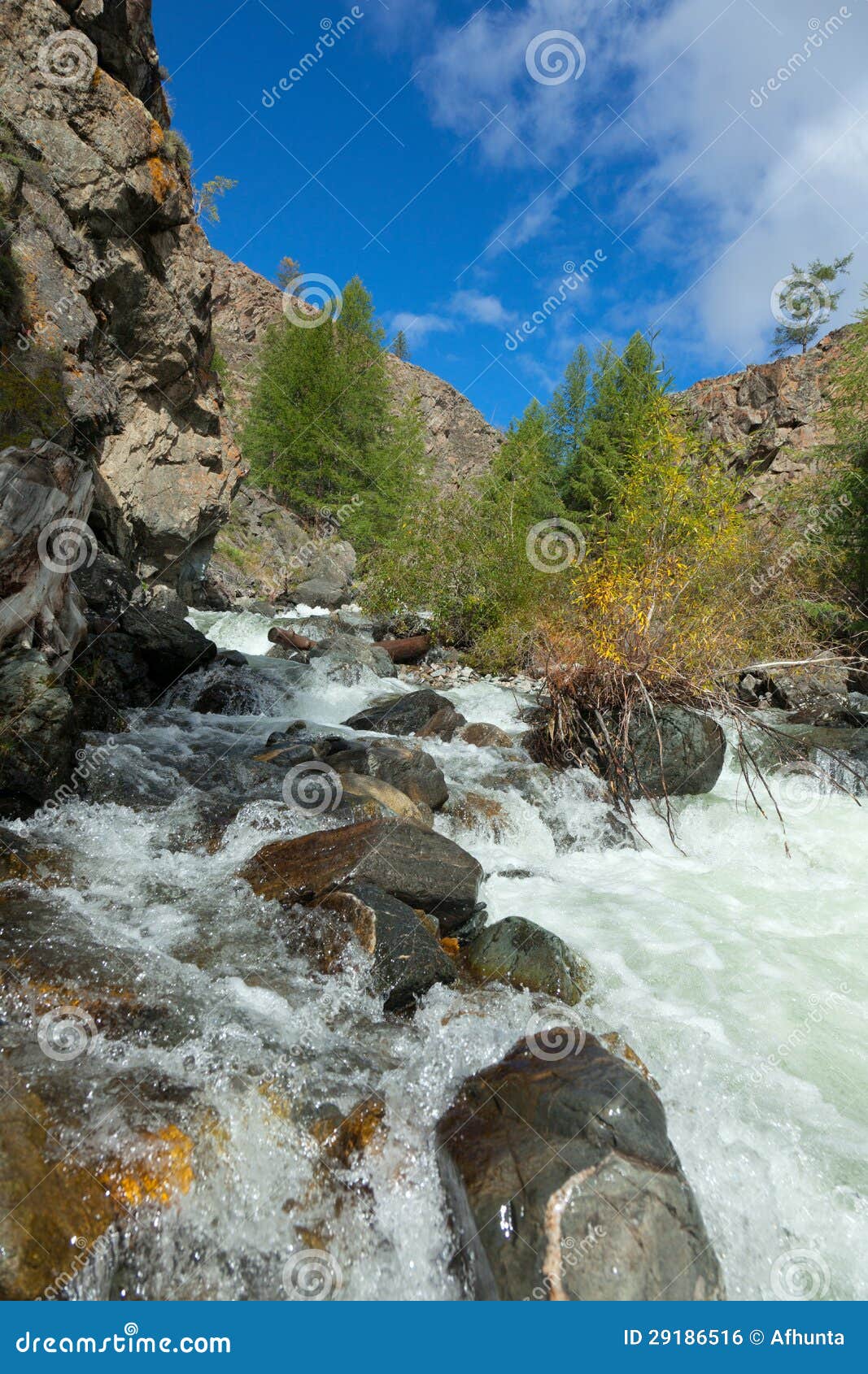 Fast river stock photo. Image of long, rock, foliage - 29186516