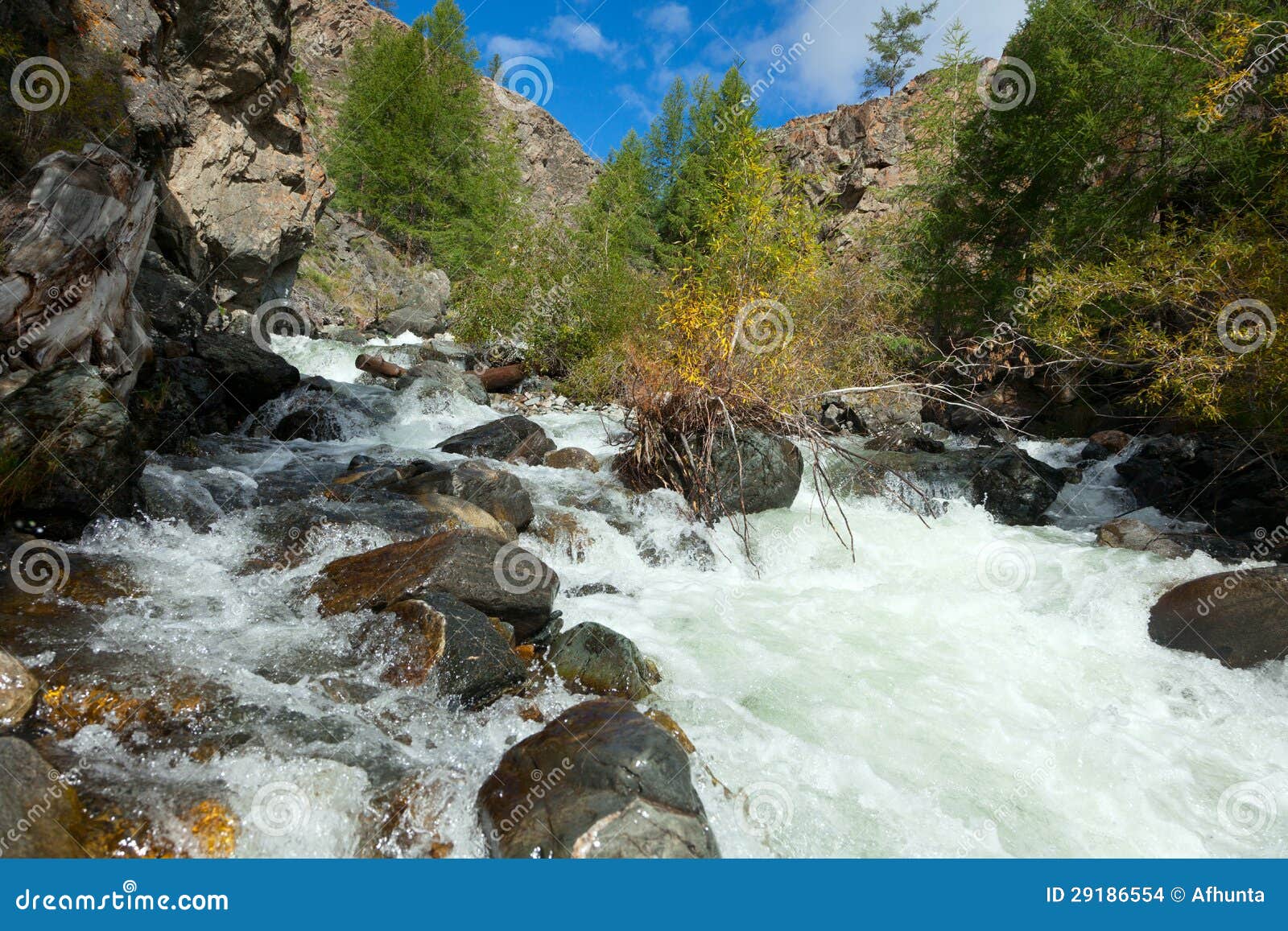 Fast river stock photo. Image of range, beauty, altai - 29186554