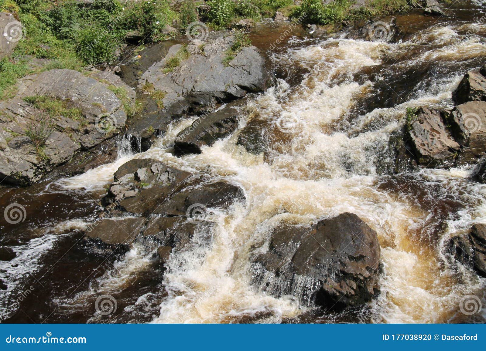 Fast River. stock photo. Image of country, wilderness - 177038920