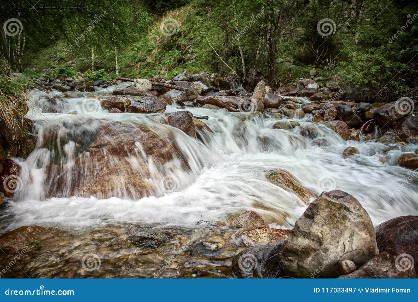 Forest and River in the Mountains. Stock Image - Image of stones ...