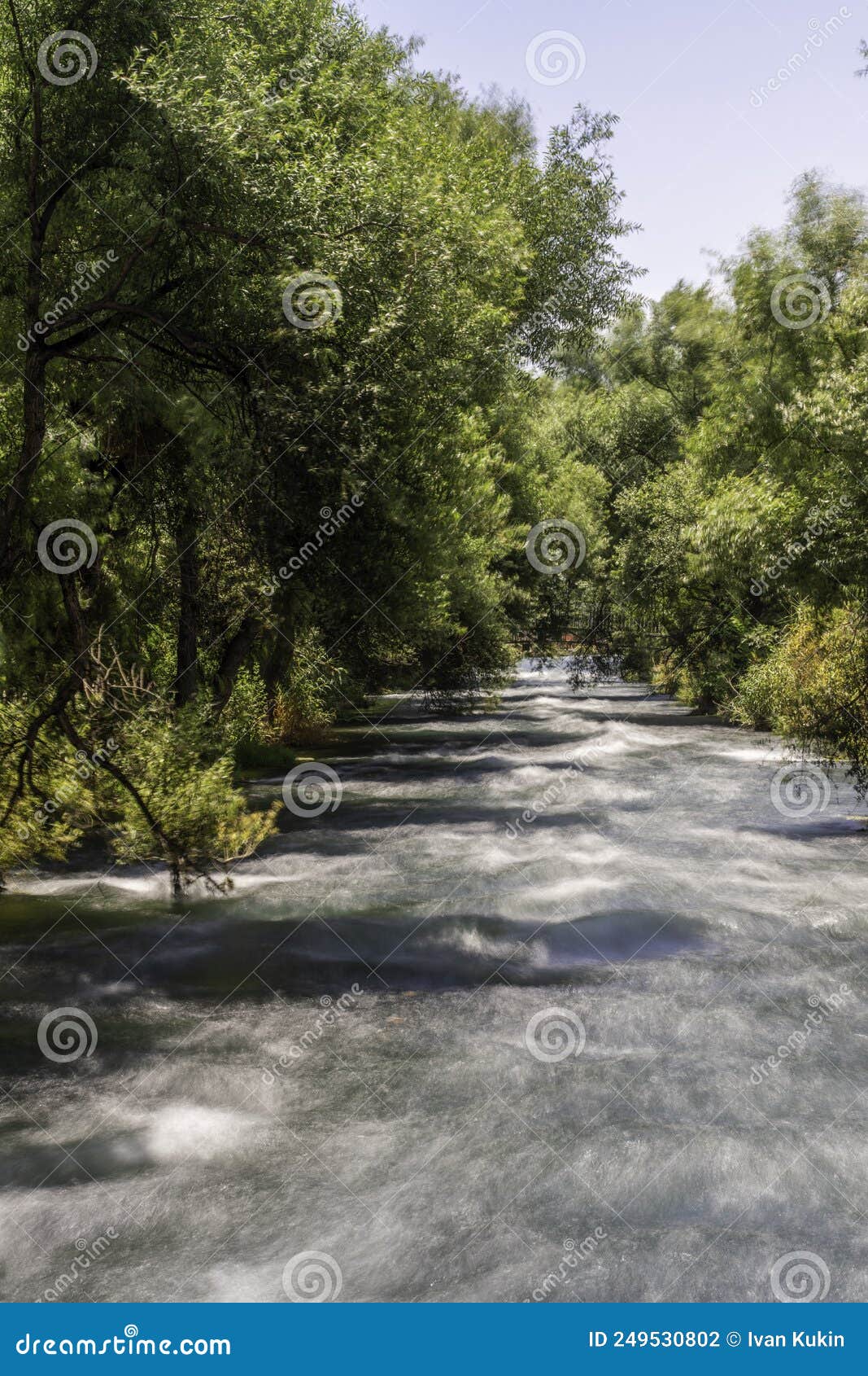 A Fast River Flows among the Trees. Summer, Vacation, Sunny Weather ...
