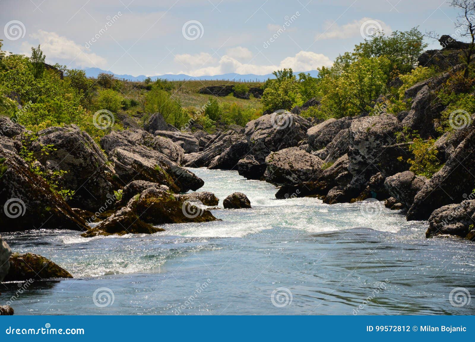 Fast river rapids stock photo. Image of forest, rural - 99572812