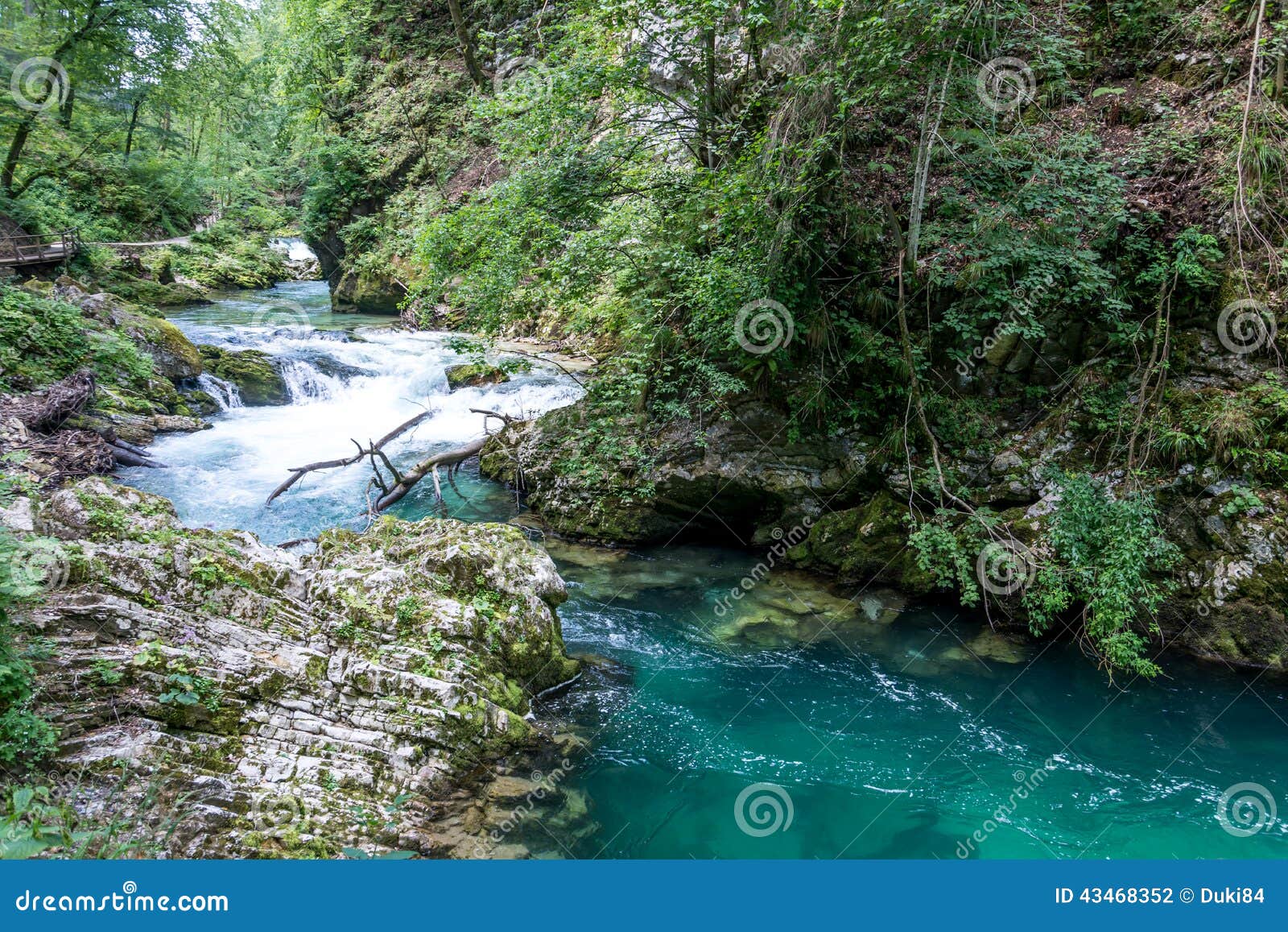 Fast river stock photo. Image of wild, stream, forest - 43468352
