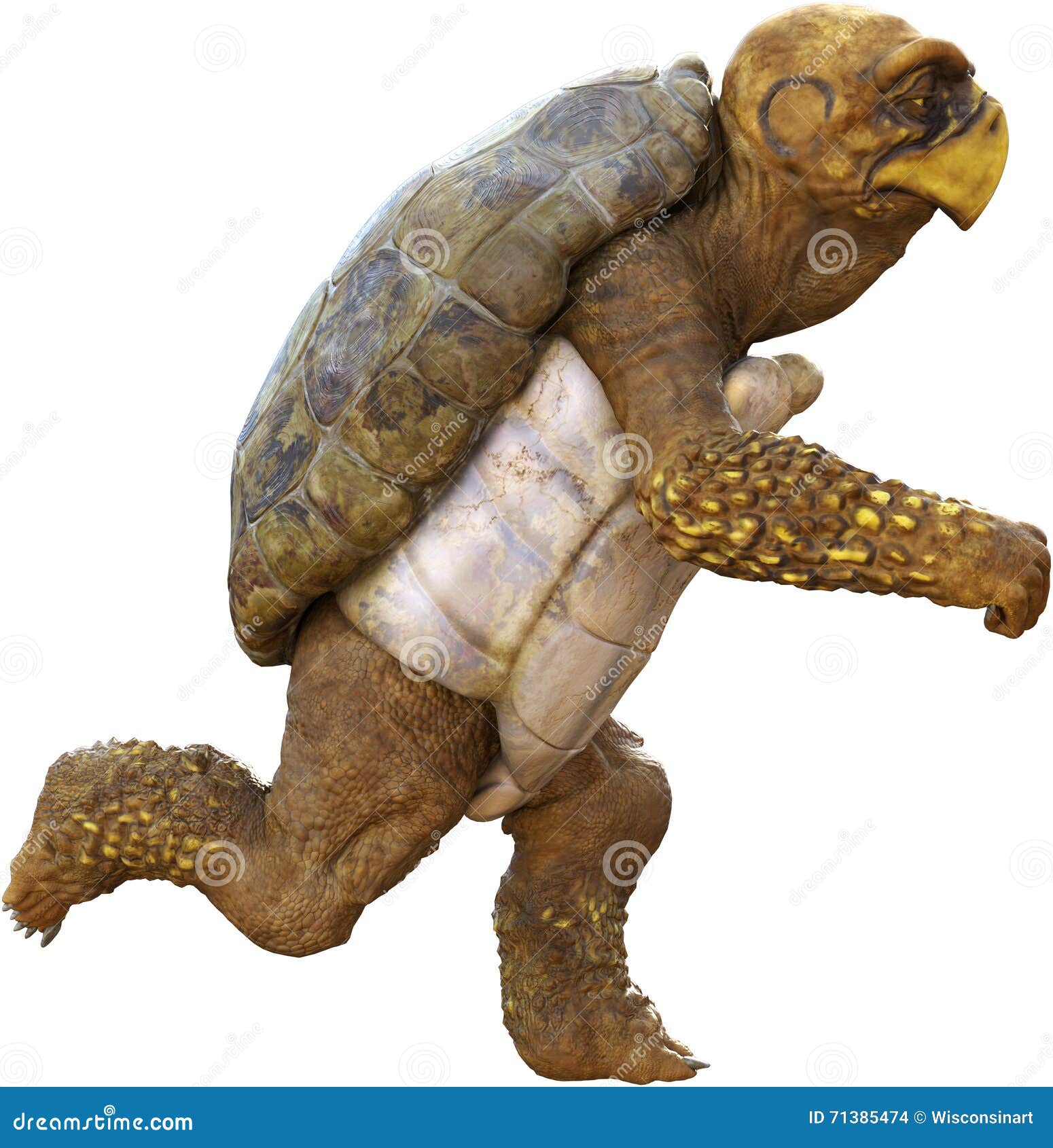 Fast Running Cartoon Turtle Isolated Stock Photo - Illustration of runs ...