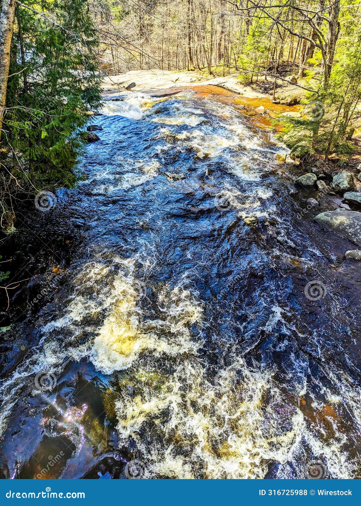 Fast-running Rapids River in the Forest Stock Photo - Image of cliff ...