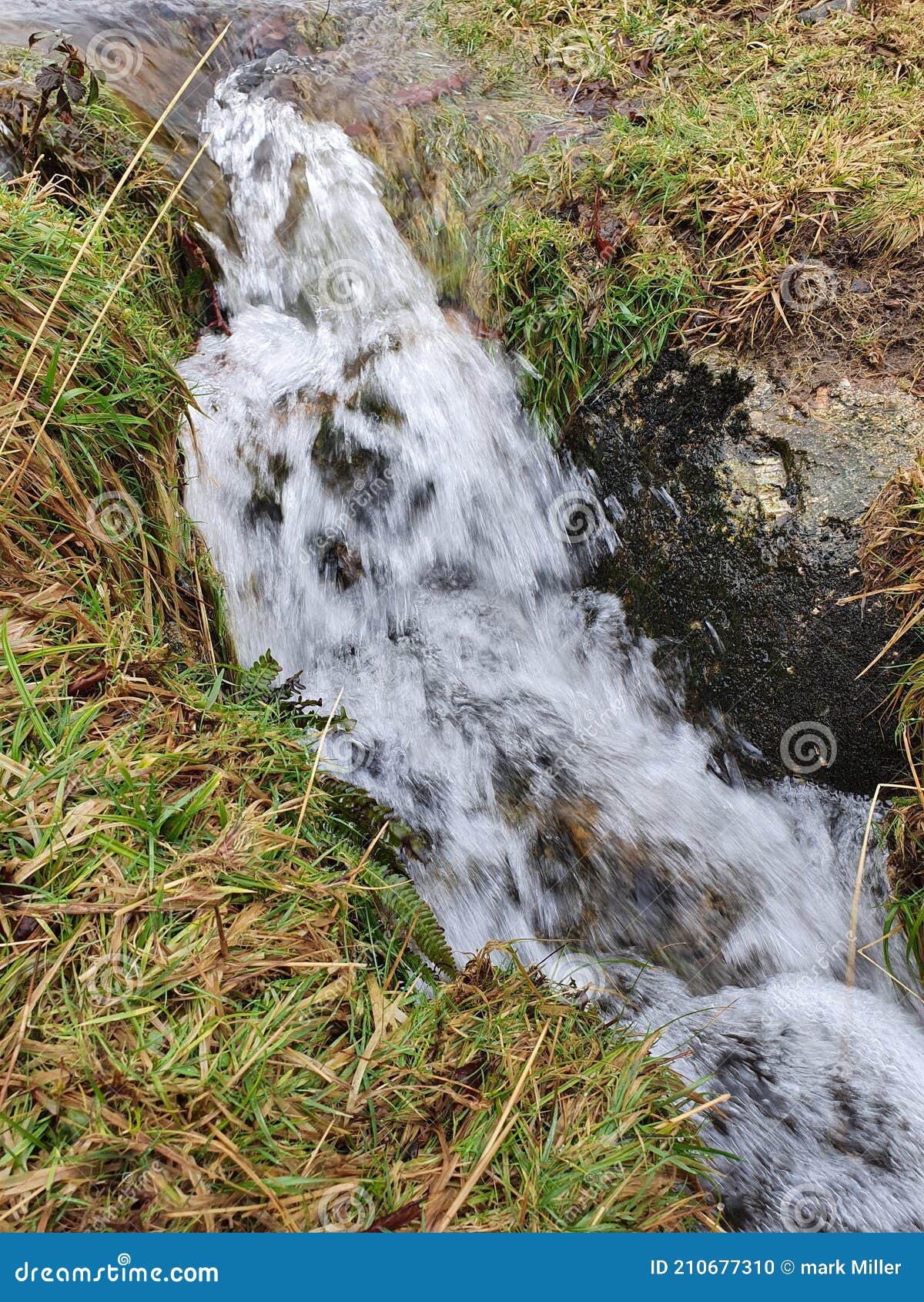 Fast Running Water on the Moors Stock Photo - Image of autumn ...