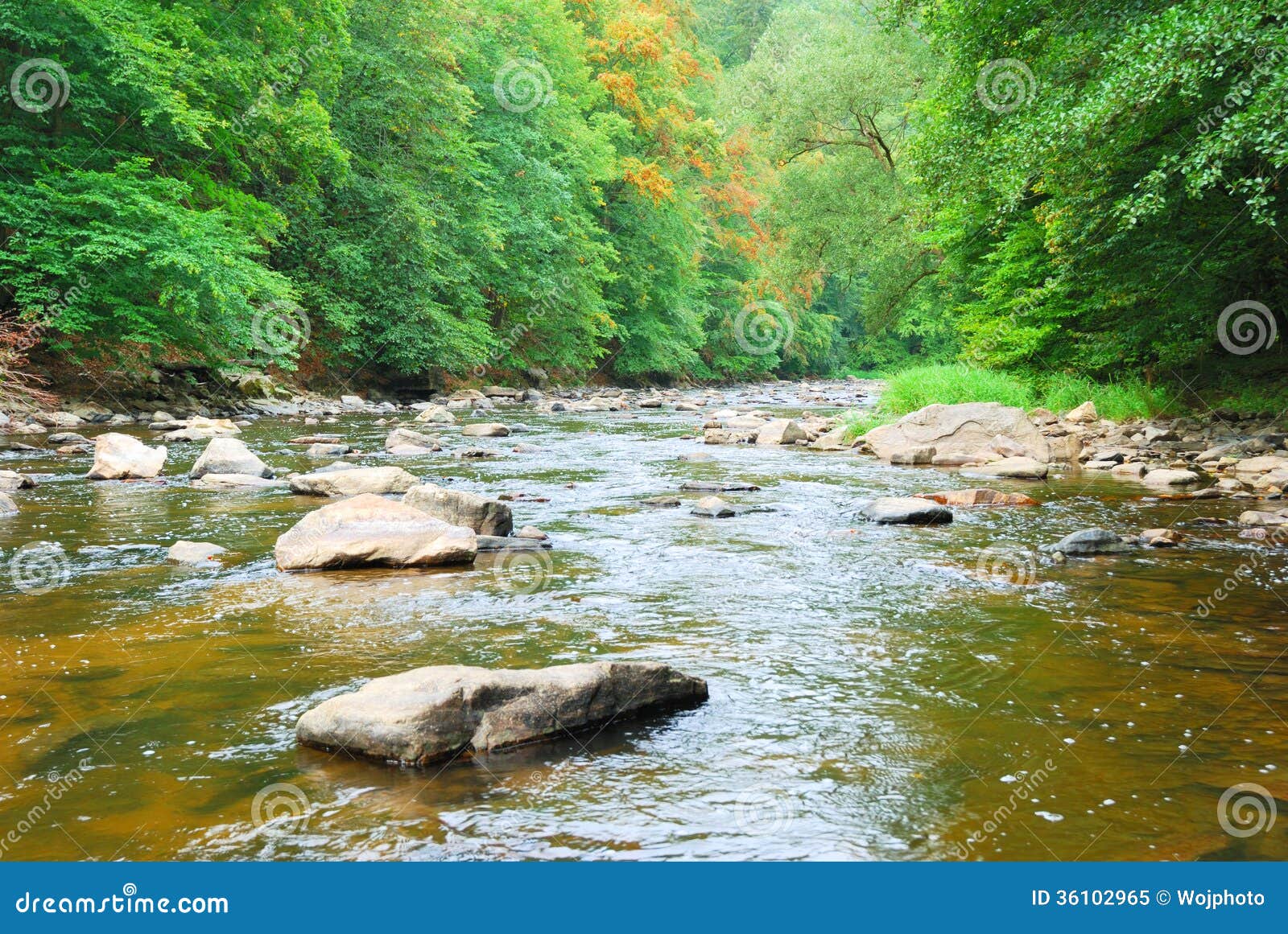 Fast Shallow River Flowing through a Green Valley Stock Image - Image ...