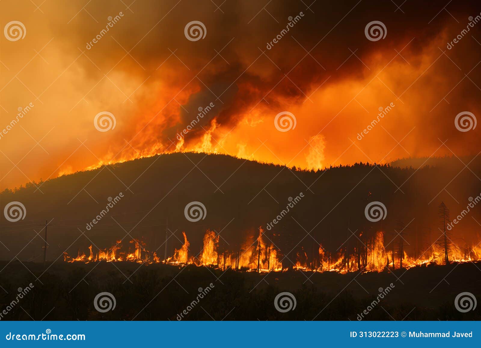 Fast Spreading Wildfires Depict Climate Changes Ecological Impacts ...