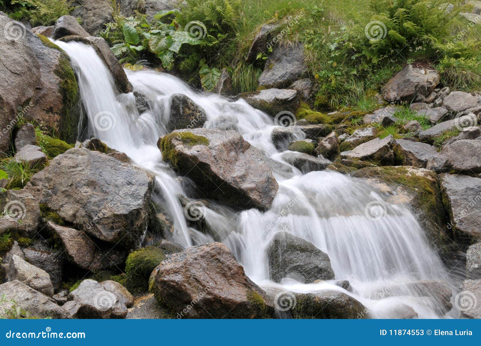 Fast stream stock image. Image of wild, falling, stone - 11874553