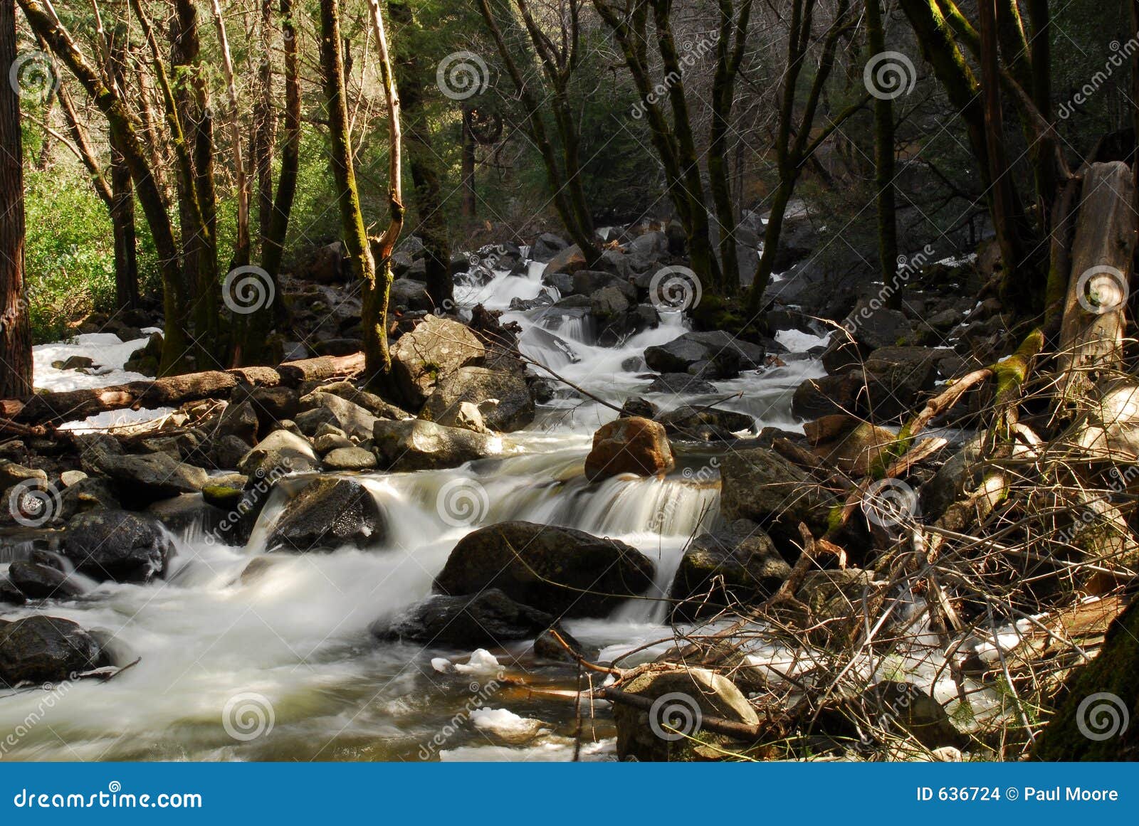 Fast Stream stock photo. Image of fluxion, reserve, flowing - 636724