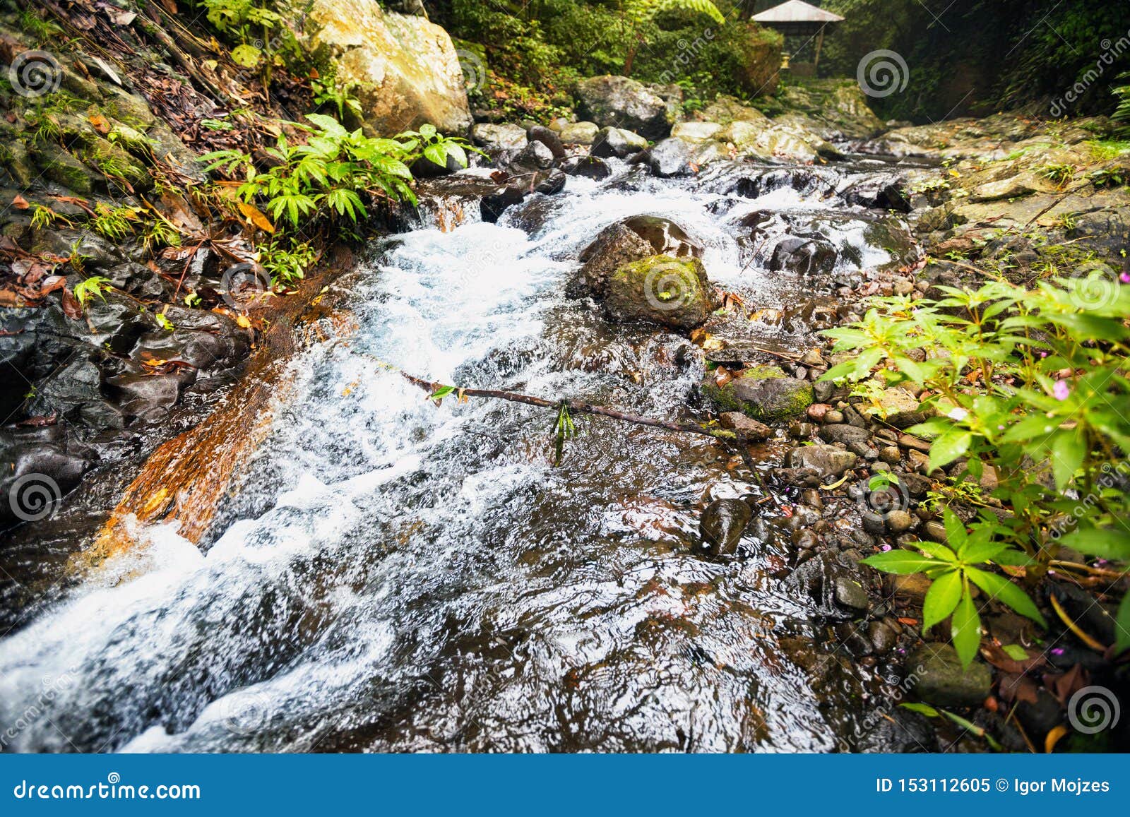 Fast stream nature stock image. Image of blur, fast - 153112605