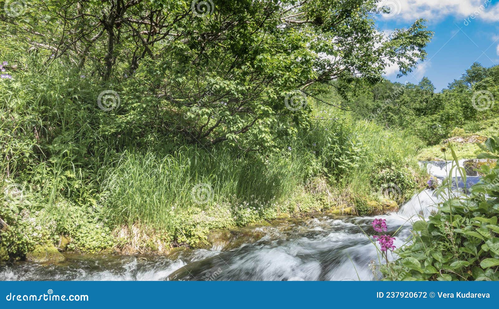 A Fast Stream Flows through the Meadow. Stock Photo - Image of beauty ...