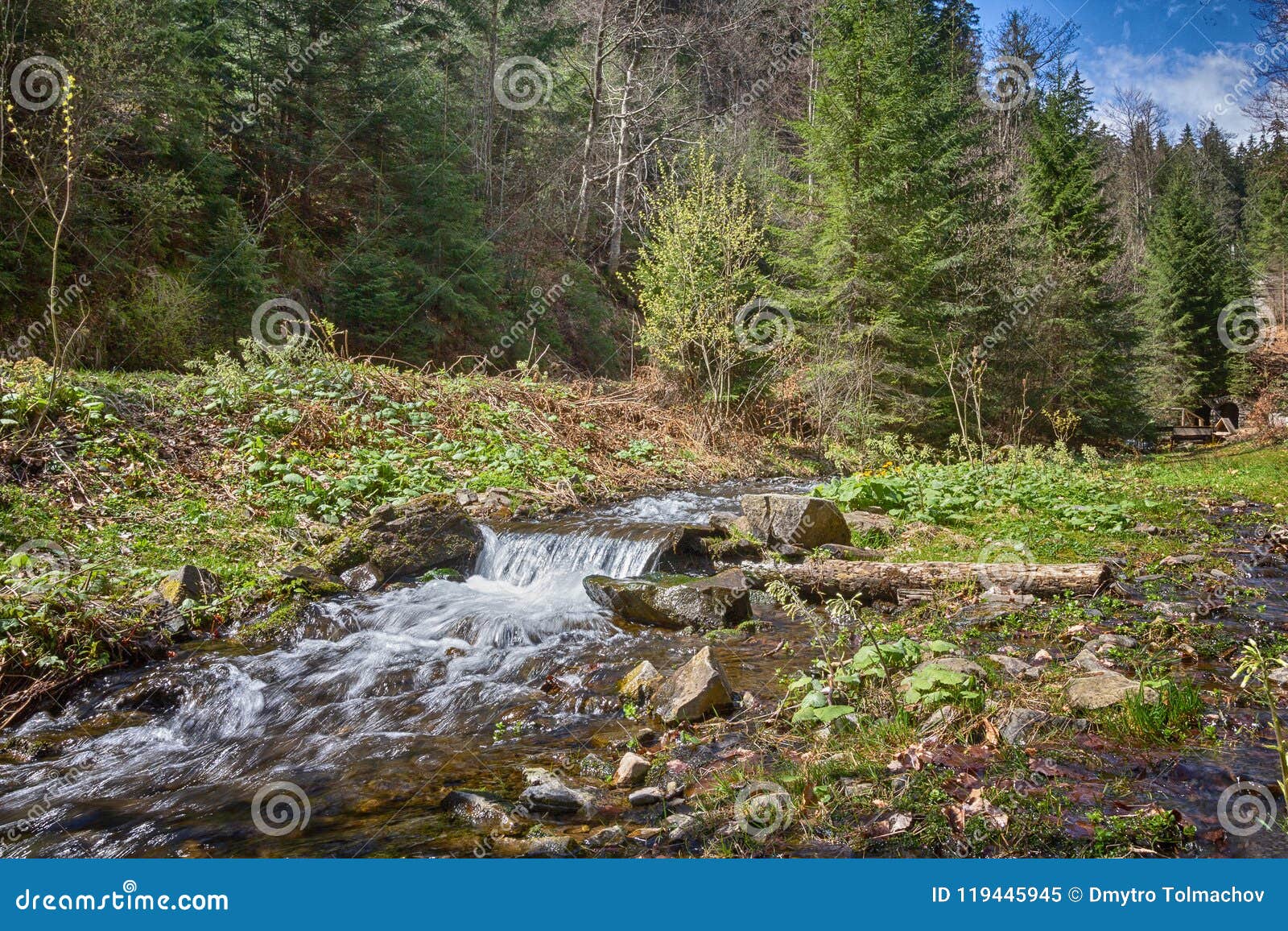 Fast Stream in a Mountain Forest Stock Image - Image of mountain ...