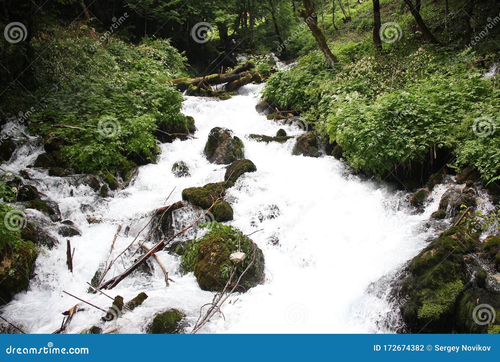 Fast stream of the river stock photo. Image of rapid - 172674382