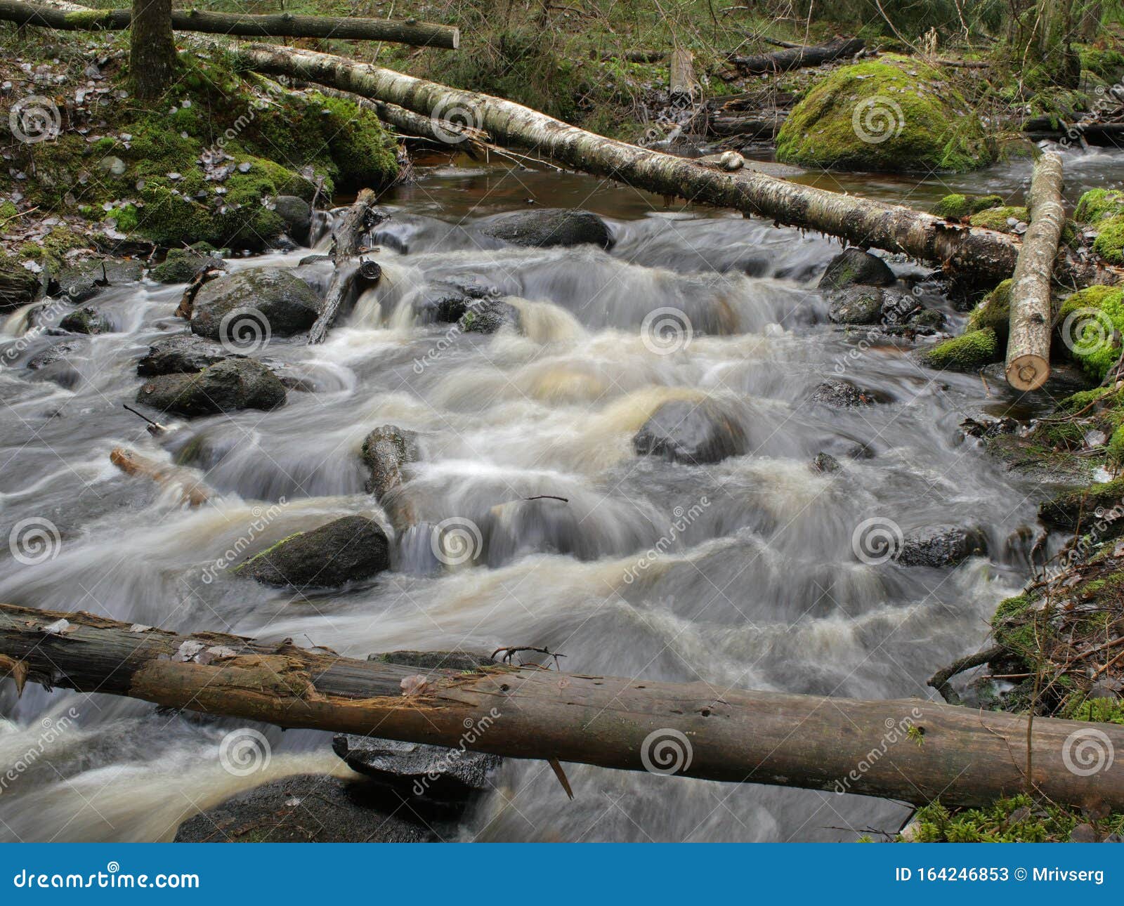 Fast stream water stock image. Image of travel, long - 164246853