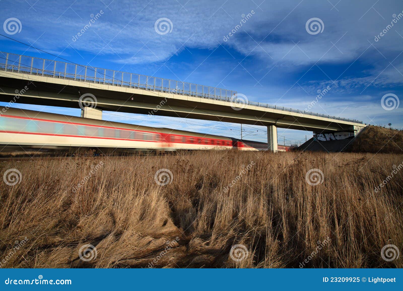 Fast Train Passing Under a Bridge Stock Image - Image of move, place ...