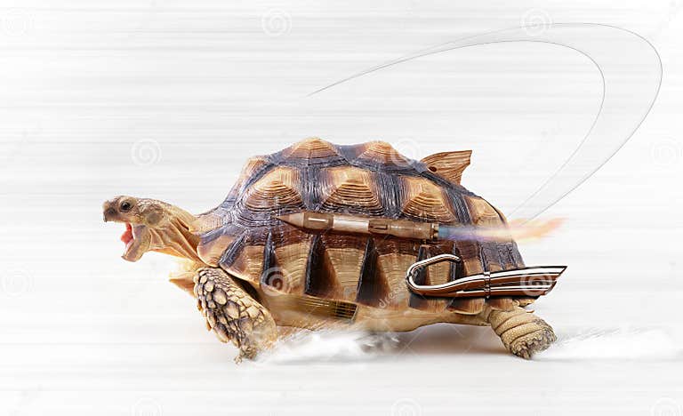 Fast turtle stock illustration. Illustration of fire, turtle - 7170875