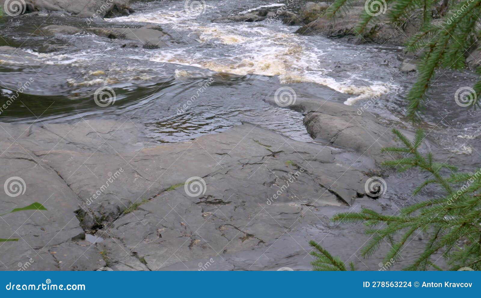 Fast Water Flow in the Stream. Stock Footage - Video of creek ...
