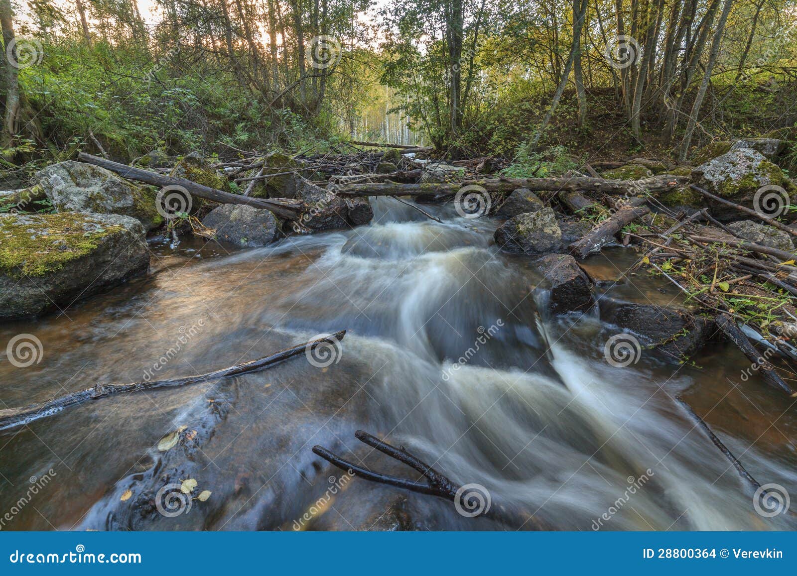 Fast wood stream stock photo. Image of mill, stone, foliage - 28800364