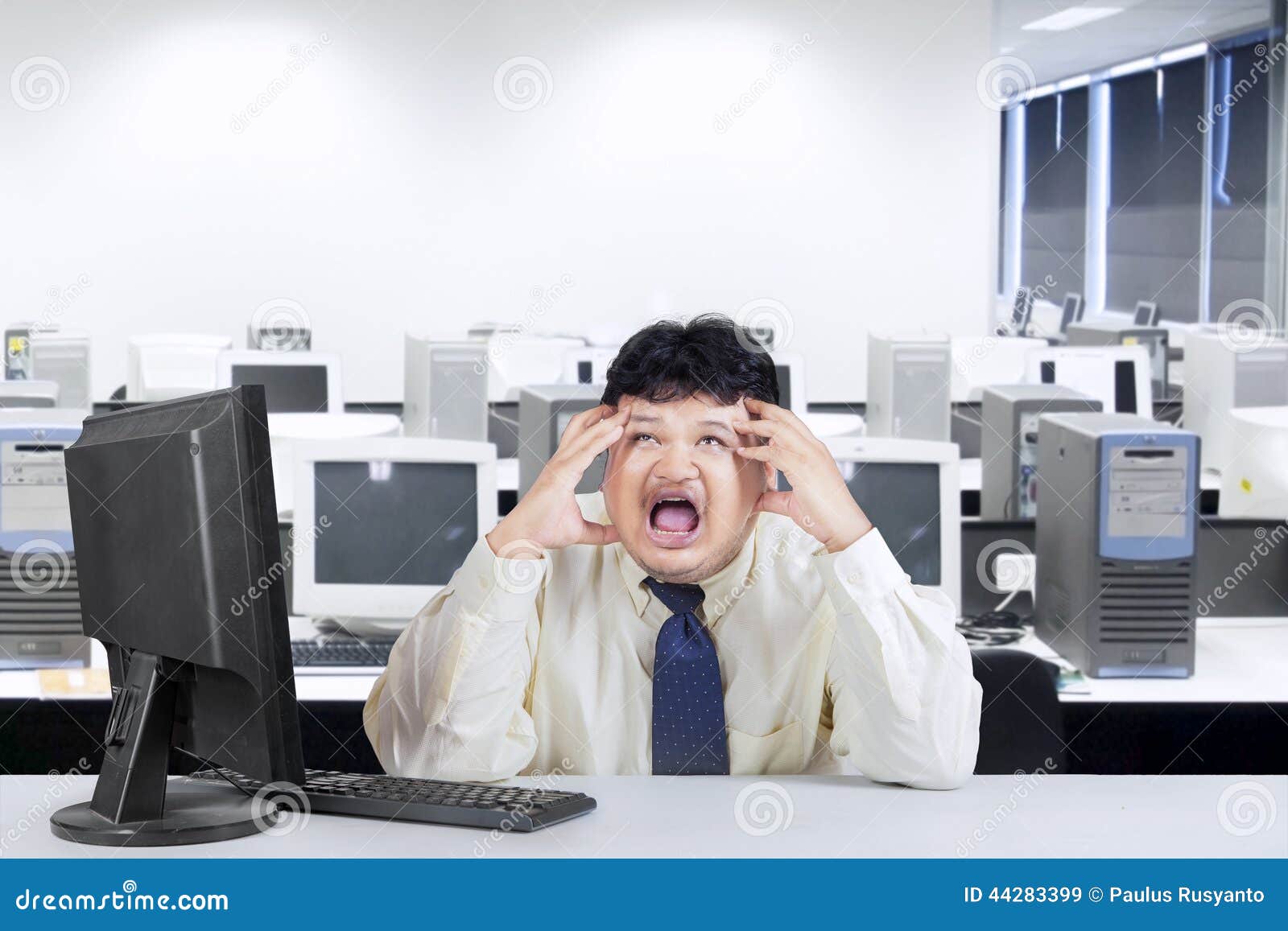Fat Businessman Shouting in Office Stock Image - Image of file, desktop ...