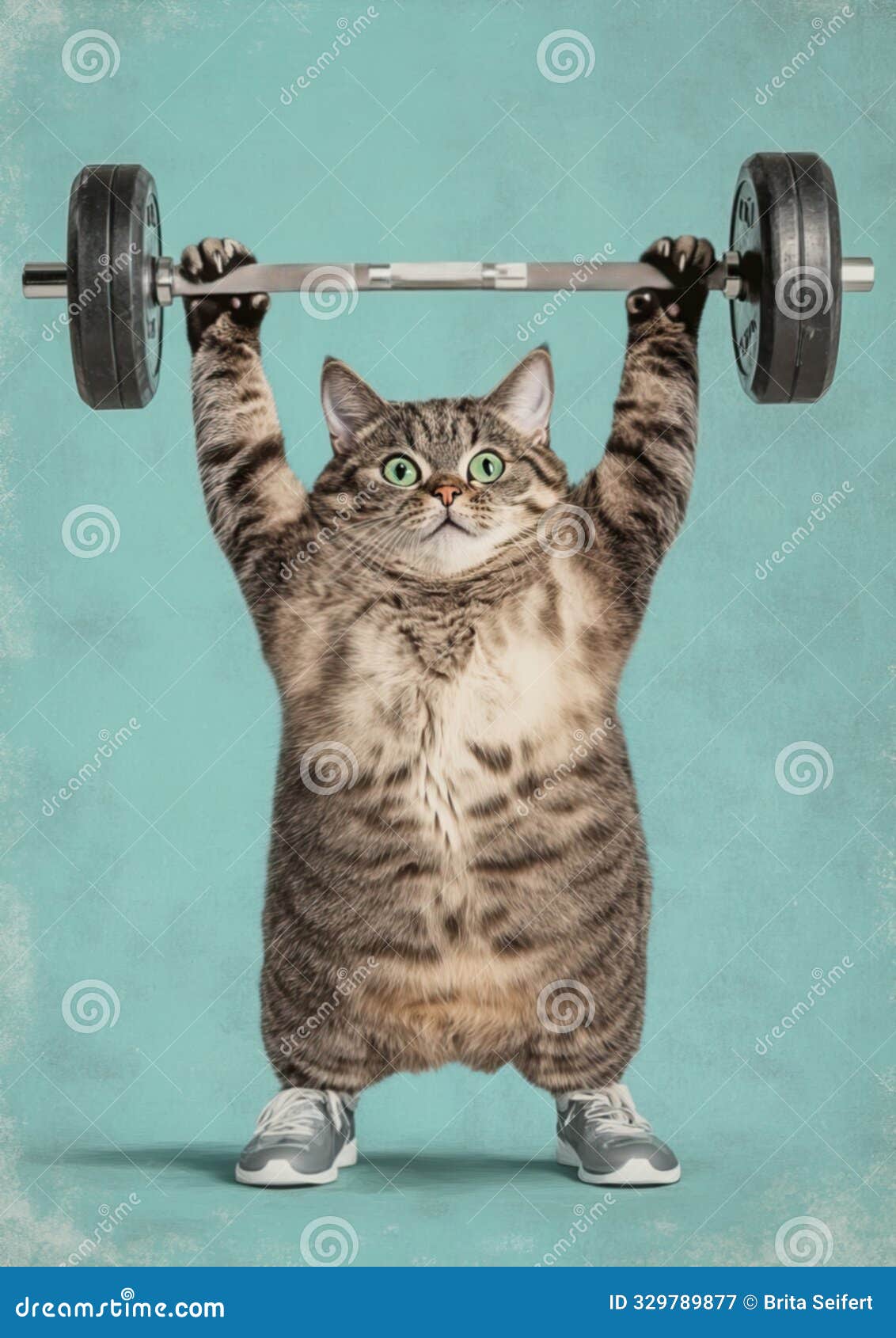 A Fat Cat is Lifting Dumbbells Stock Illustration - Illustration of ...