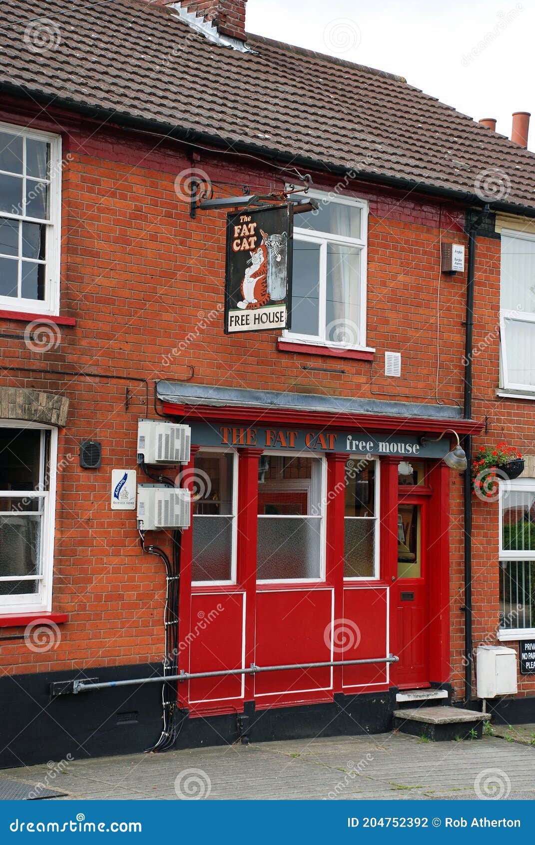 Suffolk Cat Stock Photos - Free & Royalty-Free Stock Photos from Dreamstime