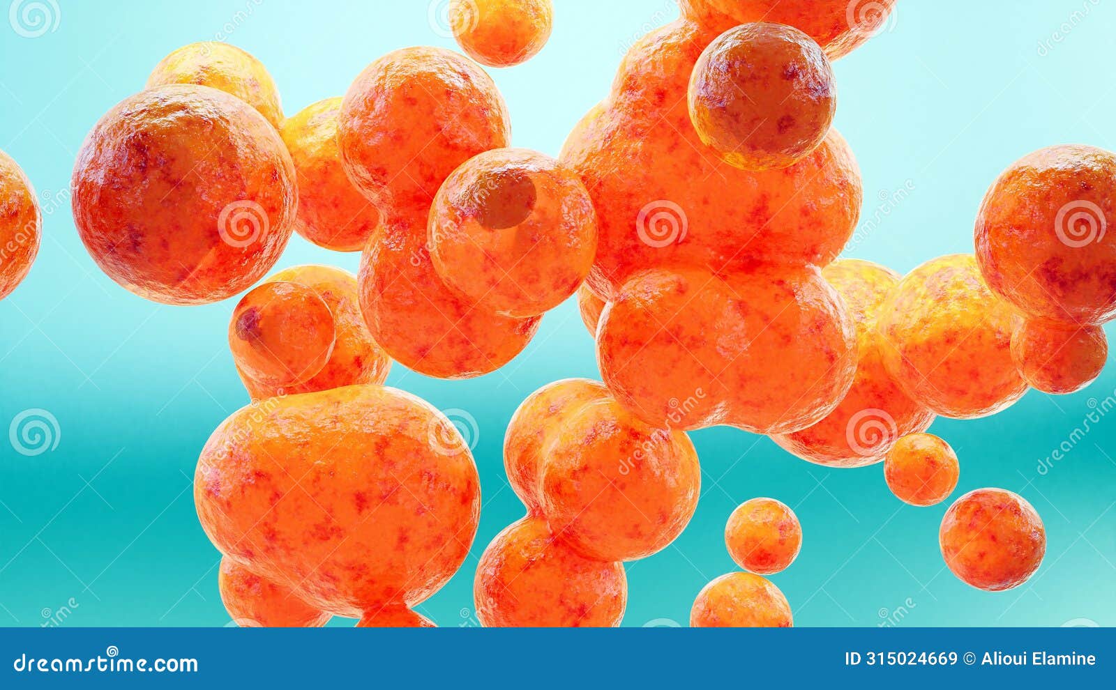 Fat Cells Adipocyte And Lipocyte Cholesterol In A Cells White Fat Cells Contain A Large Lipid