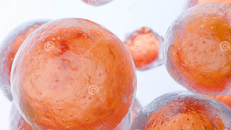 Fat Cells, Adipocyte and Lipocyte, Cholesterol in a Cells Stock ...