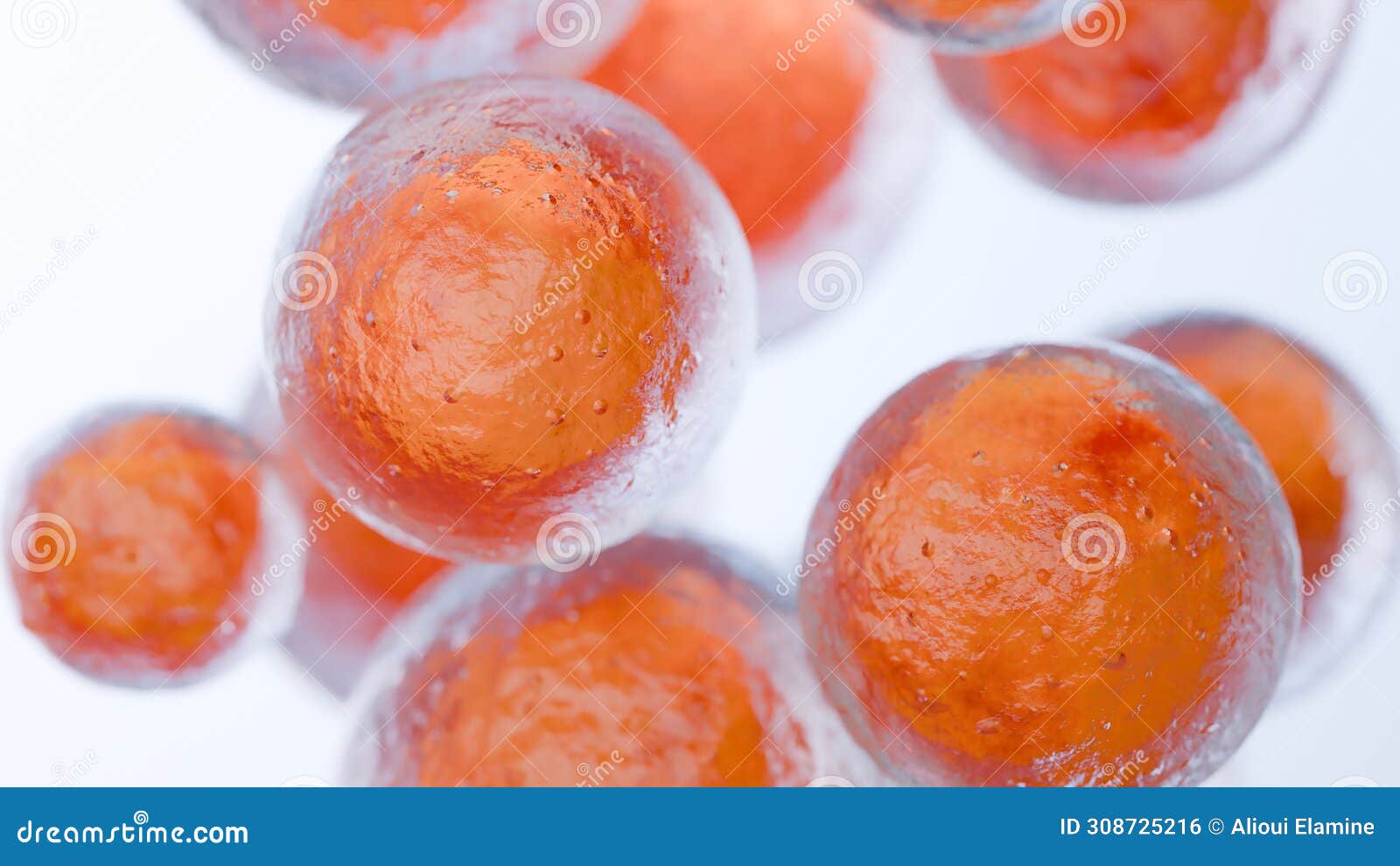 Fat Cells, Adipocyte And Lipocyte, Cholesterol In A Cells, Stock Image ...