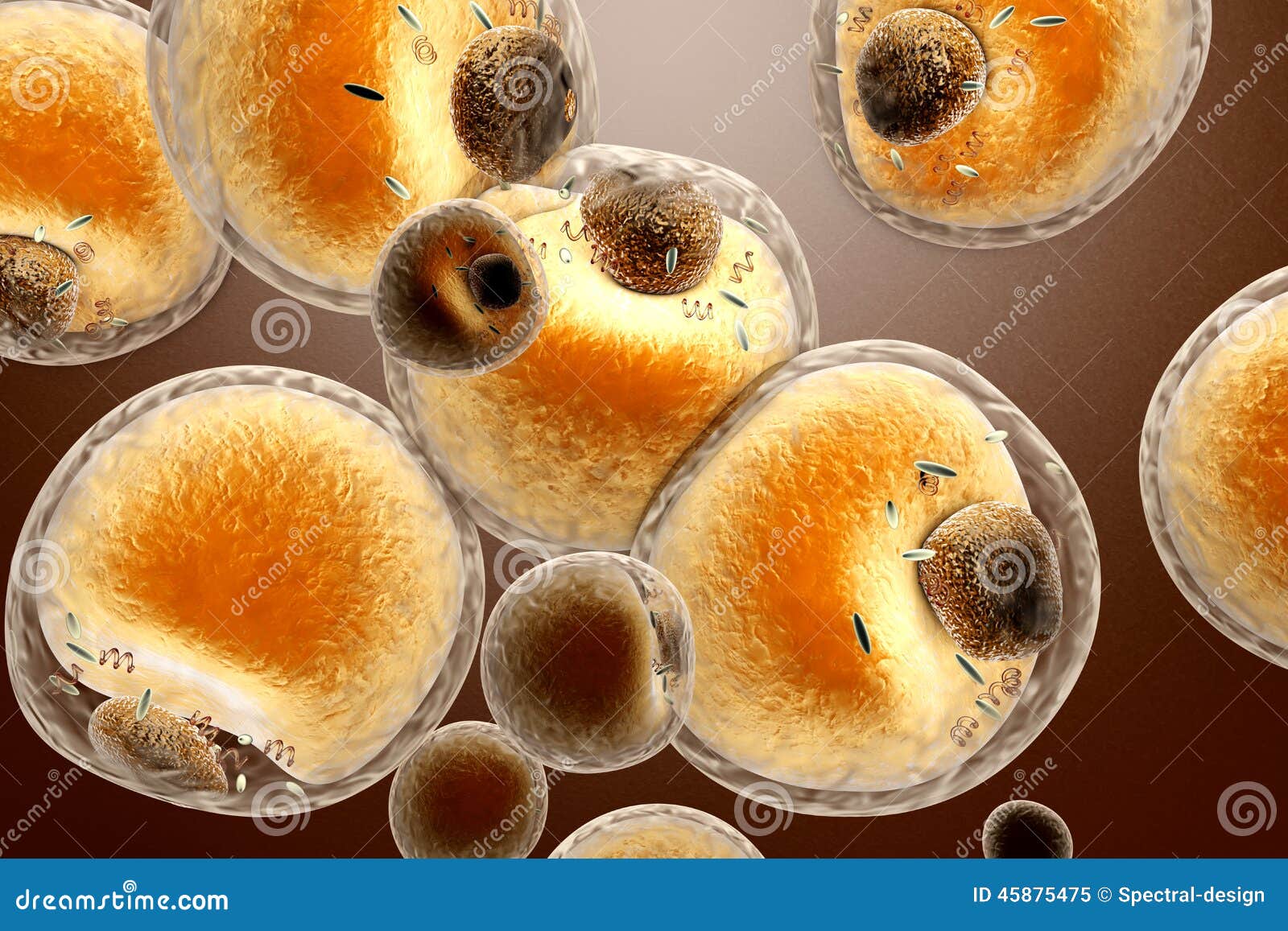 Fat Cells stock illustration. Illustration of cholesterol - 45875475