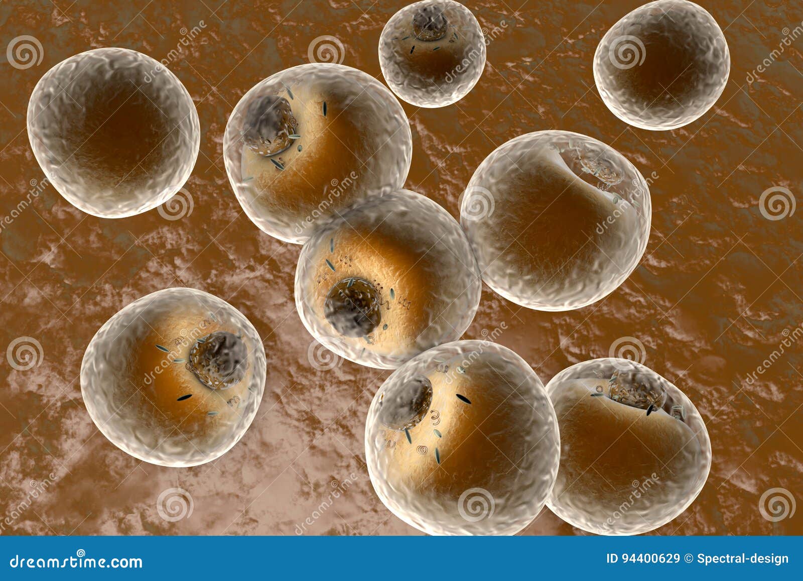 Fat Cells stock illustration. Illustration of cellular - 94400629