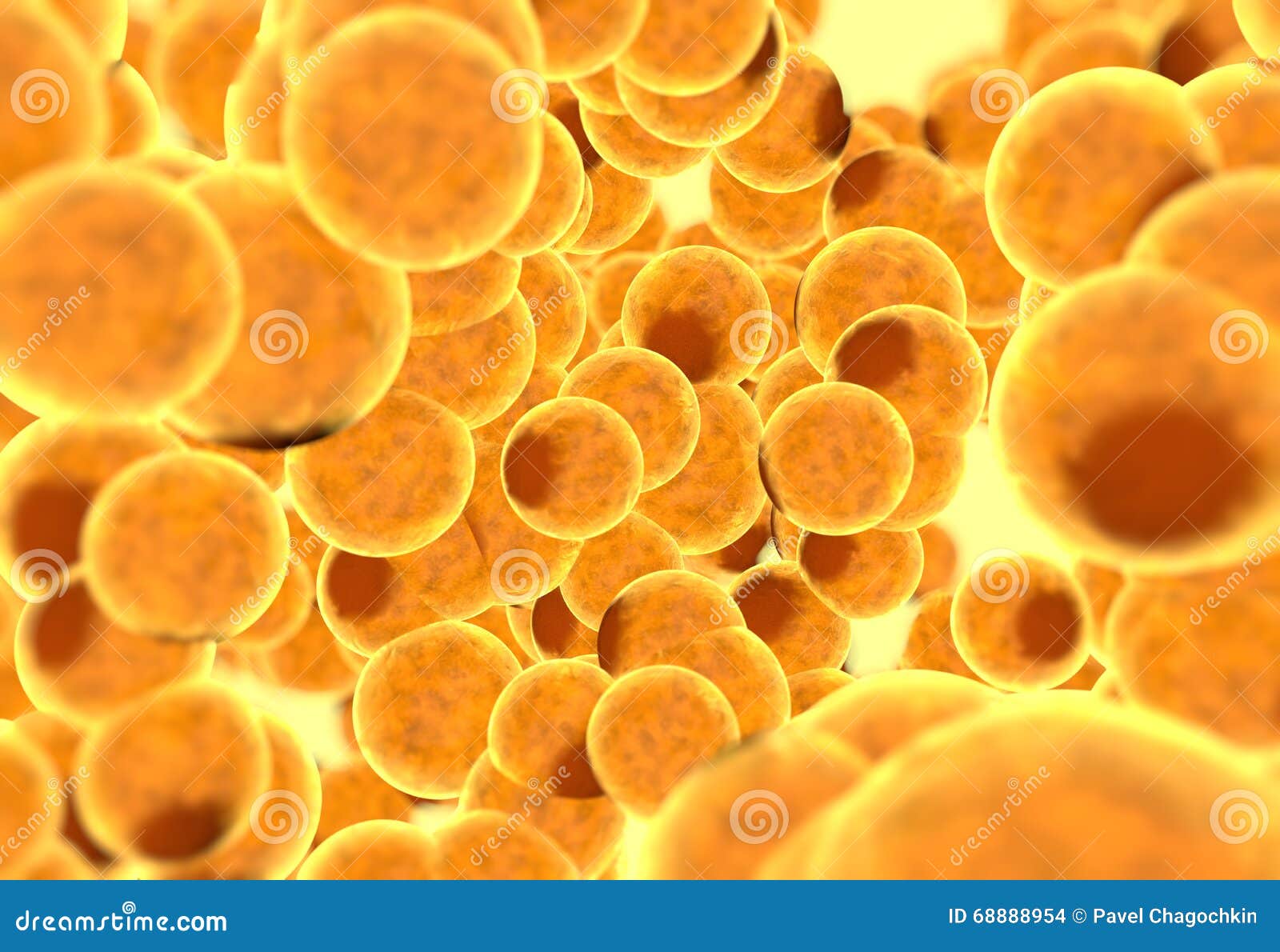 Fat Cells. Inside Human Organism Stock Illustration - Illustration of ...
