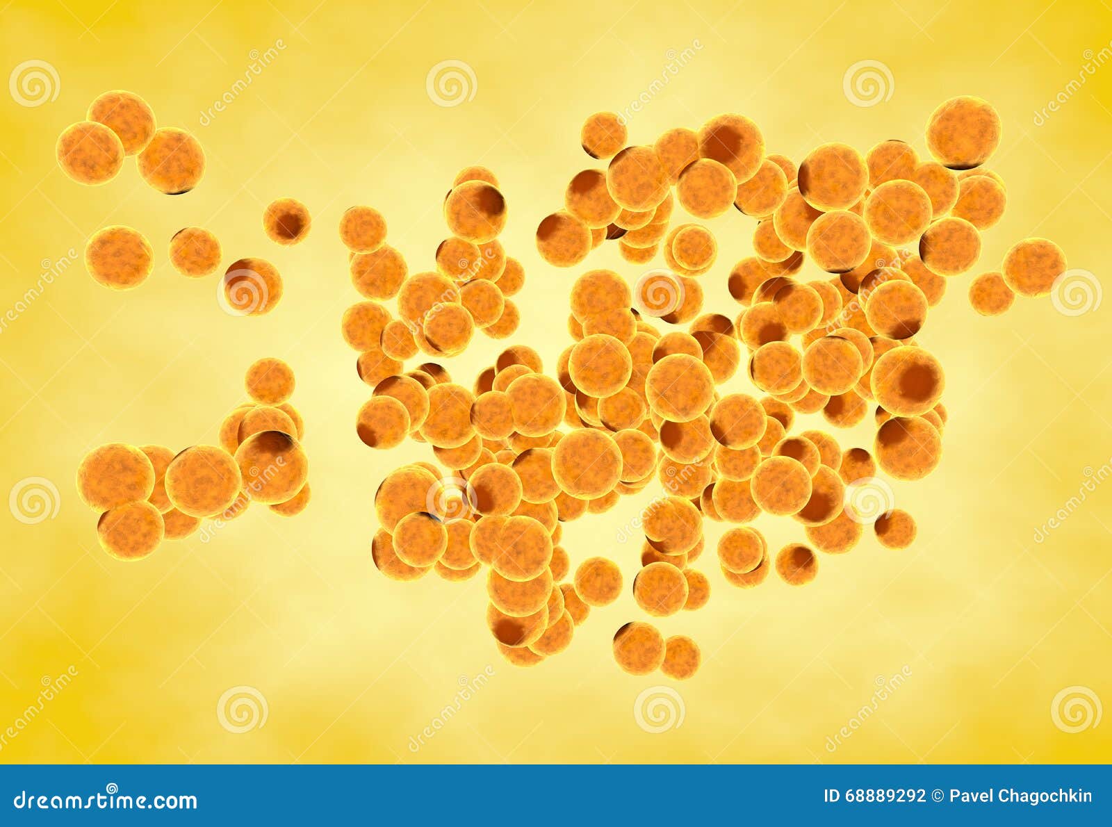 Fat Cells. Inside Human Organism Stock Illustration - Illustration of ...