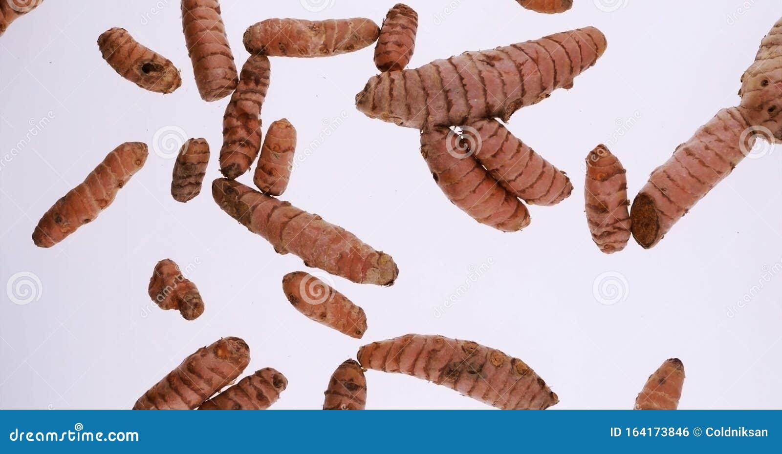 Fat Cells Under the Microscope Stock Photo - Image of science ...