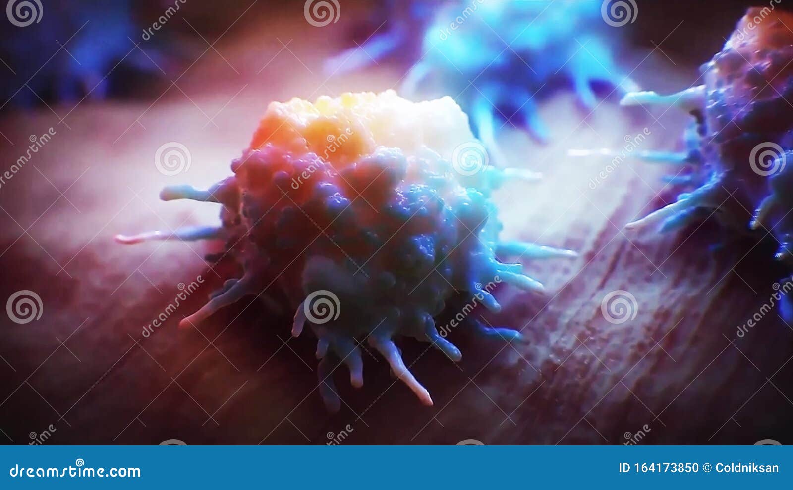 Fat Cells Under the Microscope Stock Photo - Image of membrane ...