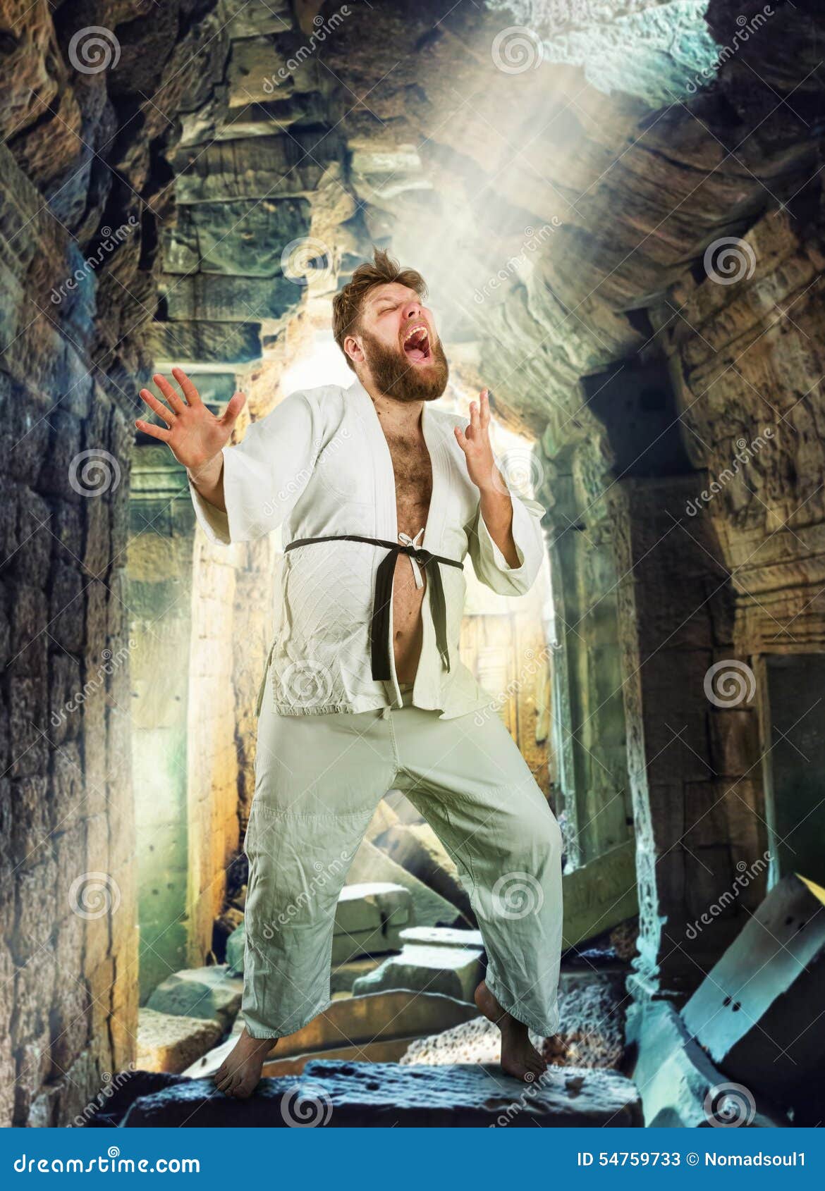 Aggressive Karate Fighter Stock Photography | CartoonDealer.com #54147032