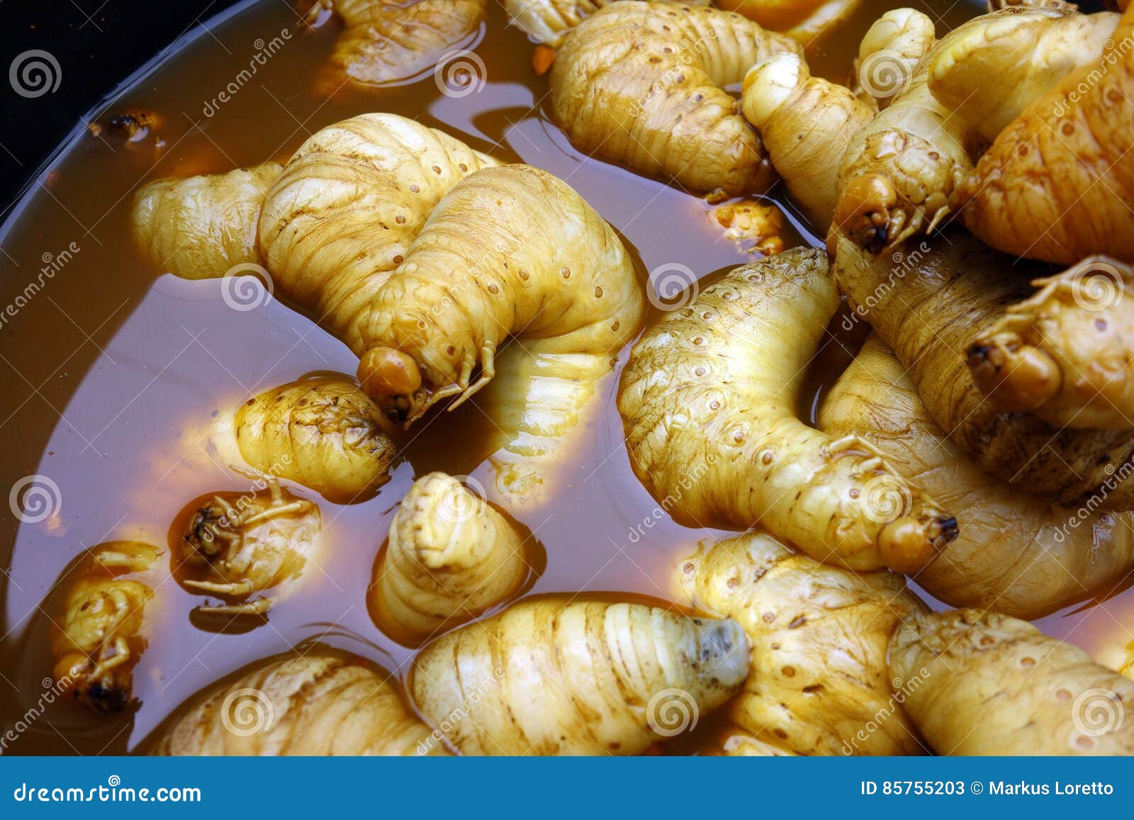 Fat Maggots, Market in Myanmar Stock Image - Image of energy, delicious ...