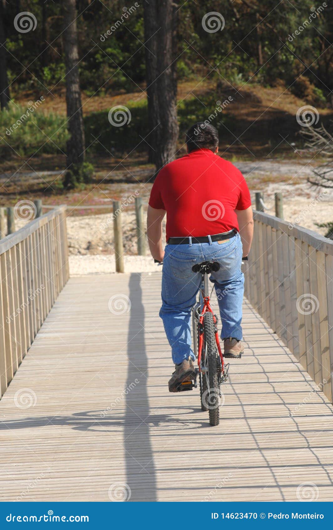 Fat Man Cycling on the Seaside Stock Photo - Image of cycle, enjoy ...