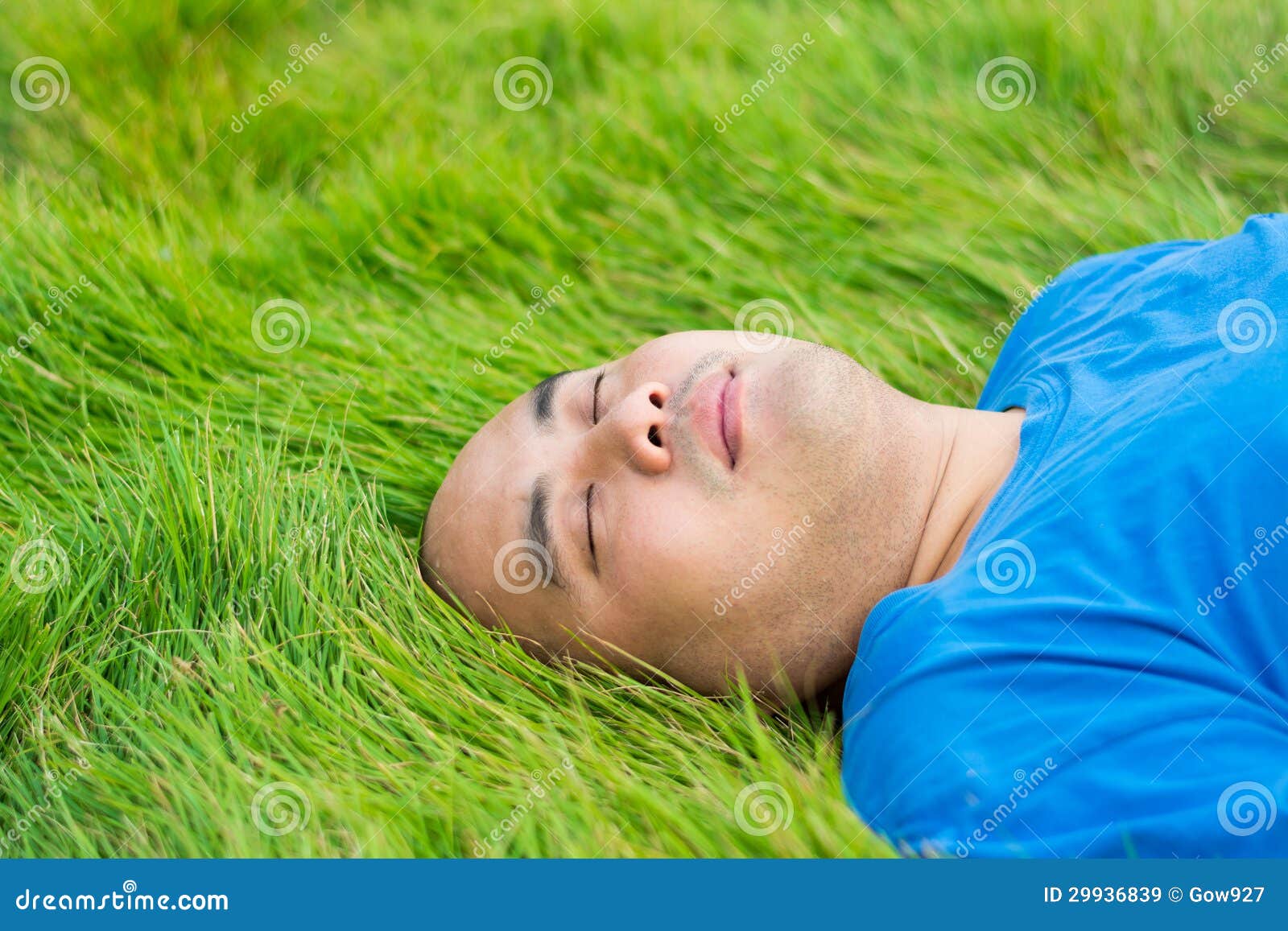 Fat Man Lying on the Green Grass To Relax Stock Image - Image of adult ...