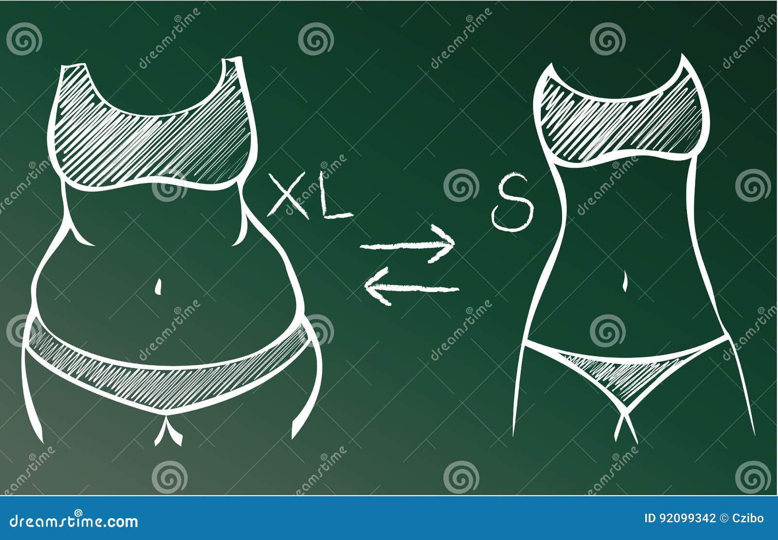 Fat and slim woman figure stock vector. Illustration of thin - 92099342