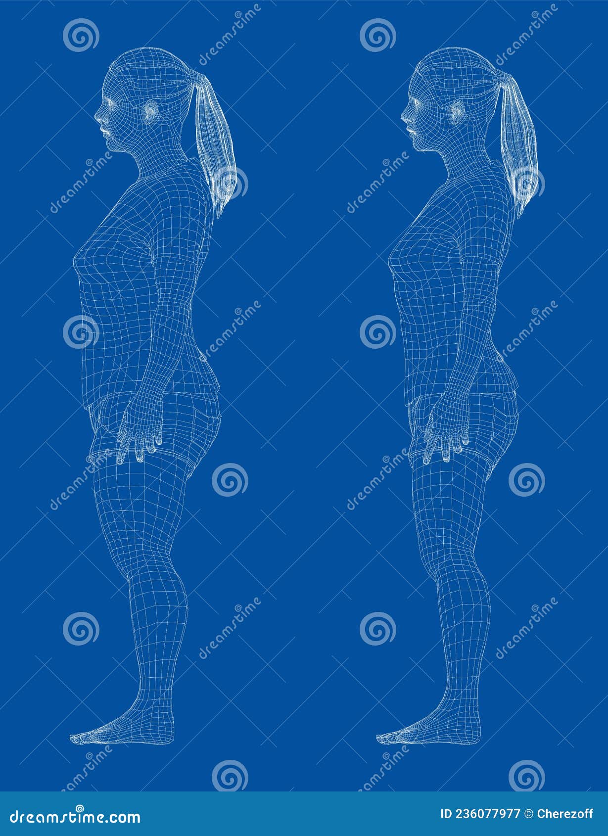 Fat And Slim Woman Before And After Weight Loss Stock Illustration