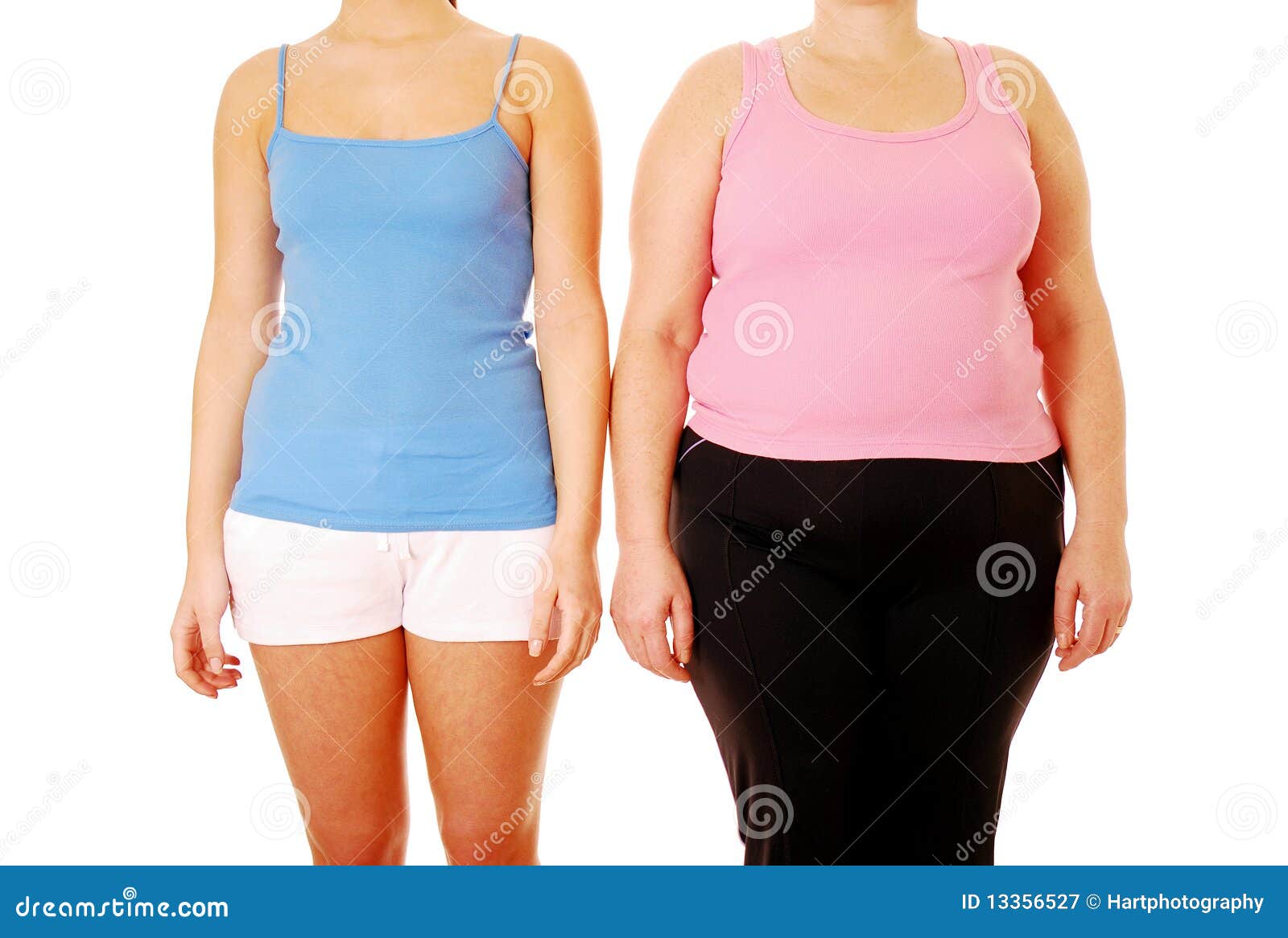 Fat Thin stock image. Image of thin, white, background - 13356527