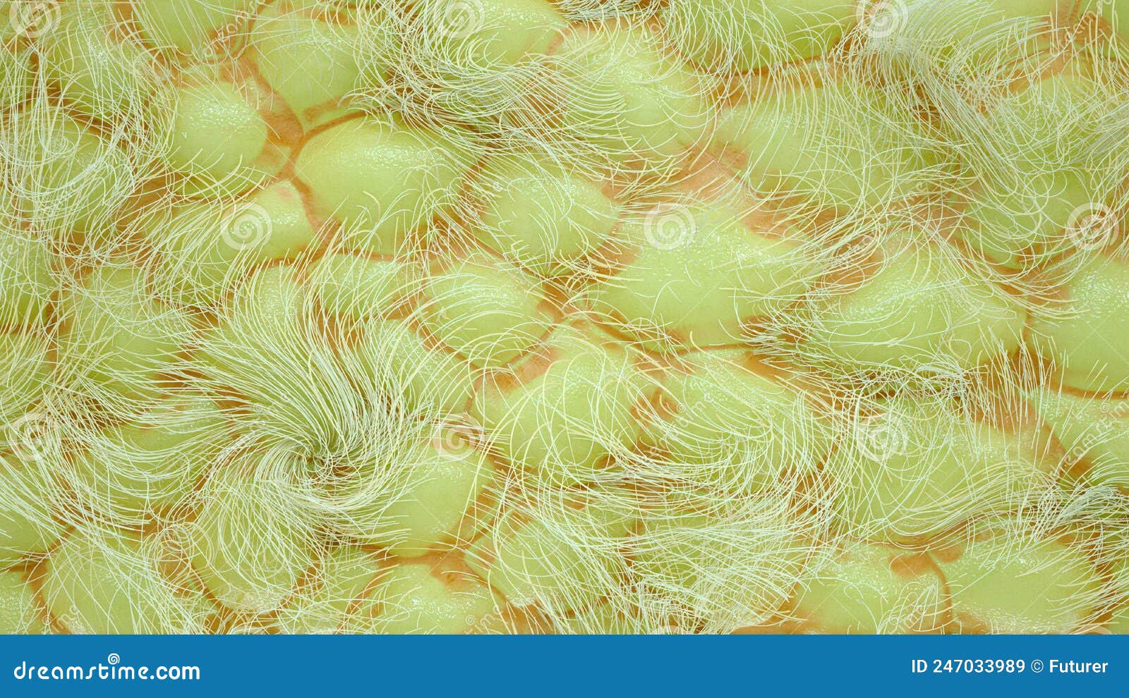 Fat Tissue Close Up - 3D Rendering Stock Illustration - Illustration of ...