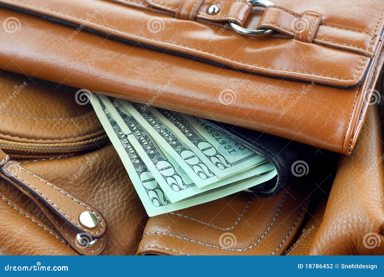 Fat wallet Concept of rich stock photo. Image of expensive - 18786452