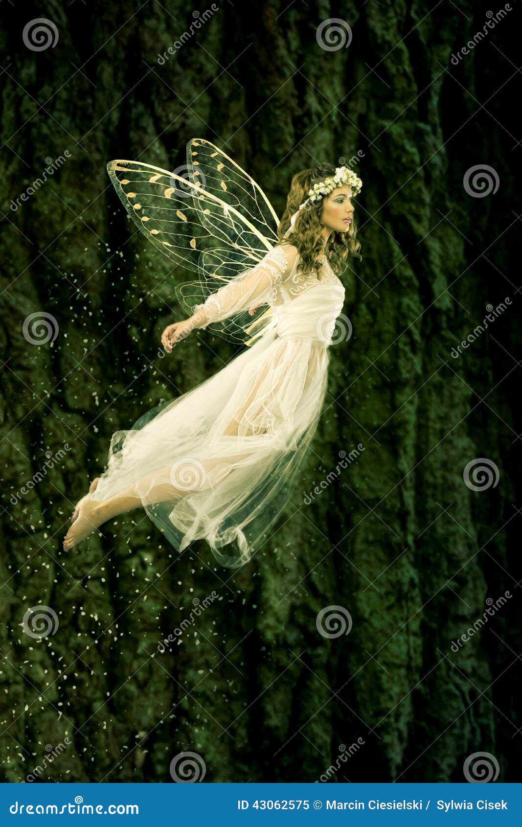 Fatato di volo immagine stock. Immagine di racconto, snello - 43062575