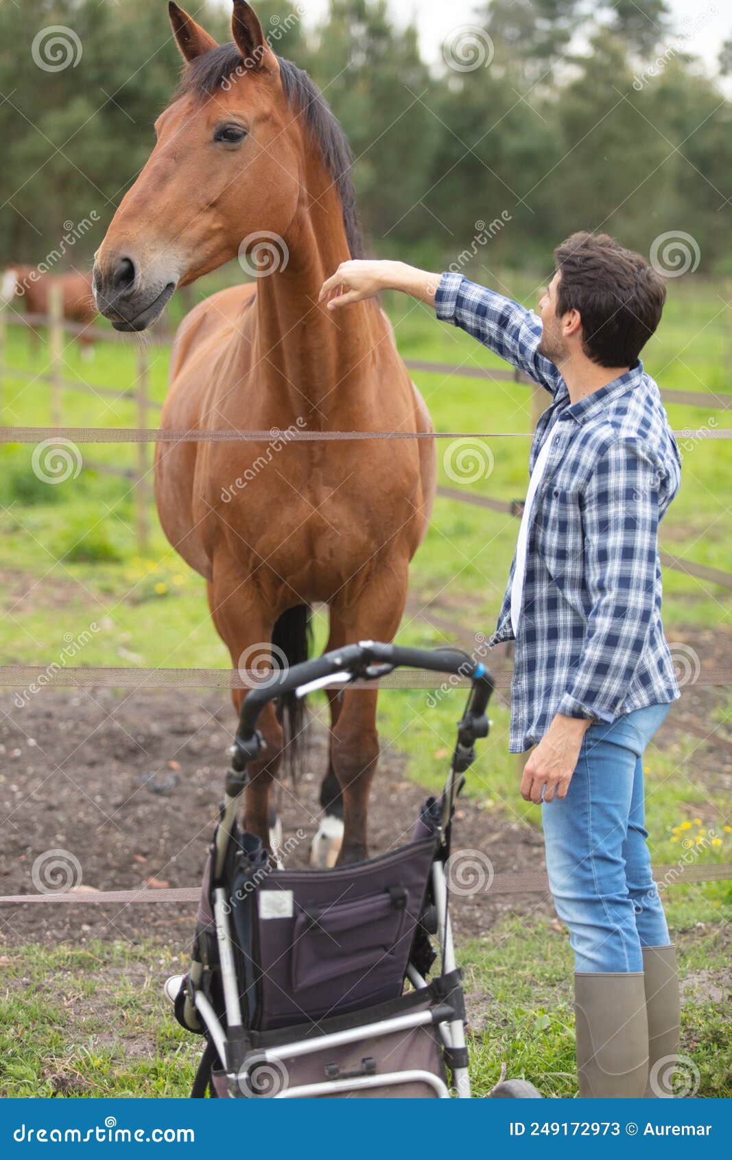 Father with Baby in Stroller Looking at Horse in Field Stock Image ...