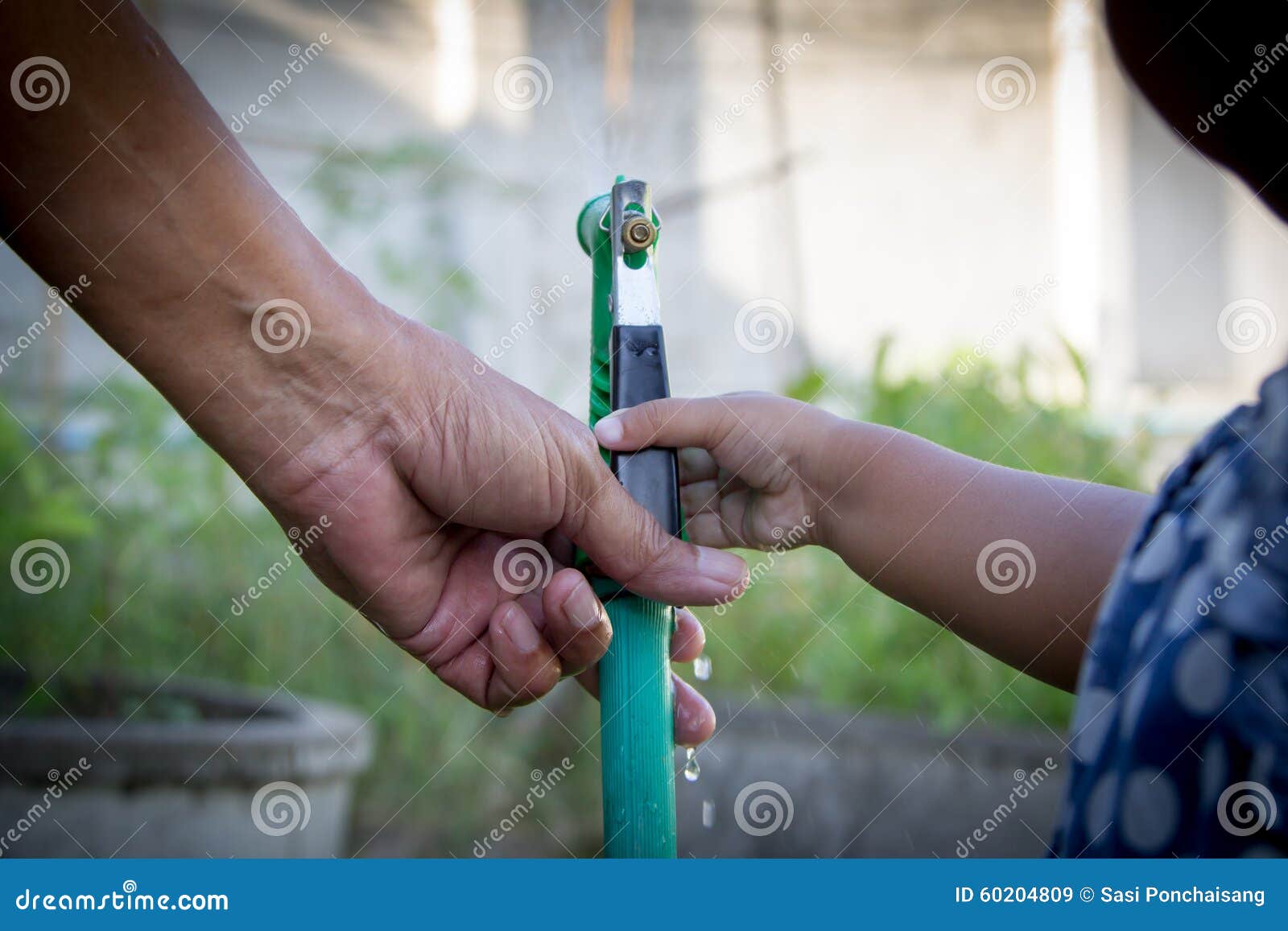 Father and Child Hand Help Watering Plant in Garden Stock Image - Image ...