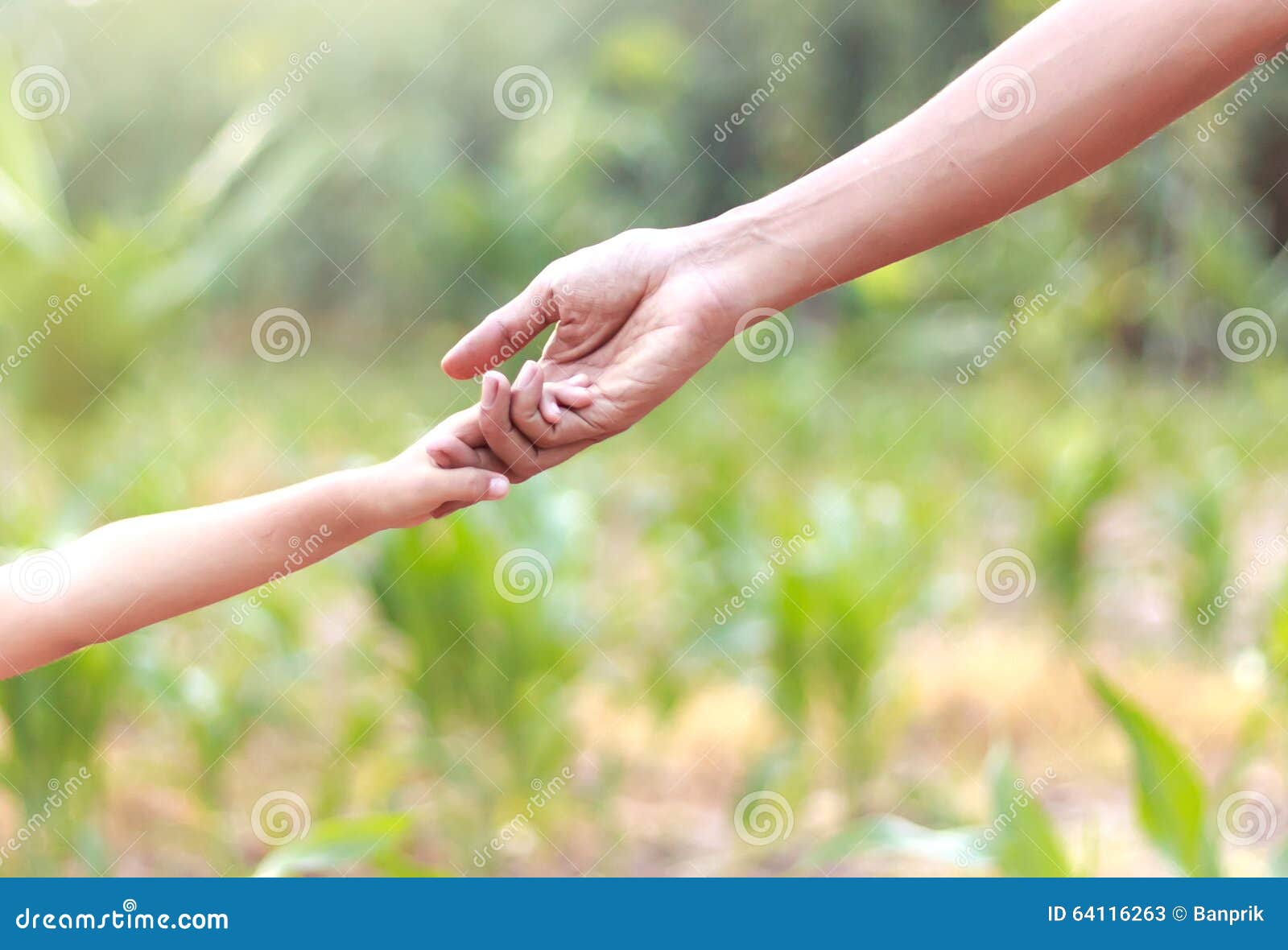 Father and Child Holding Hands - Helping Concept Stock Image - Image of ...
